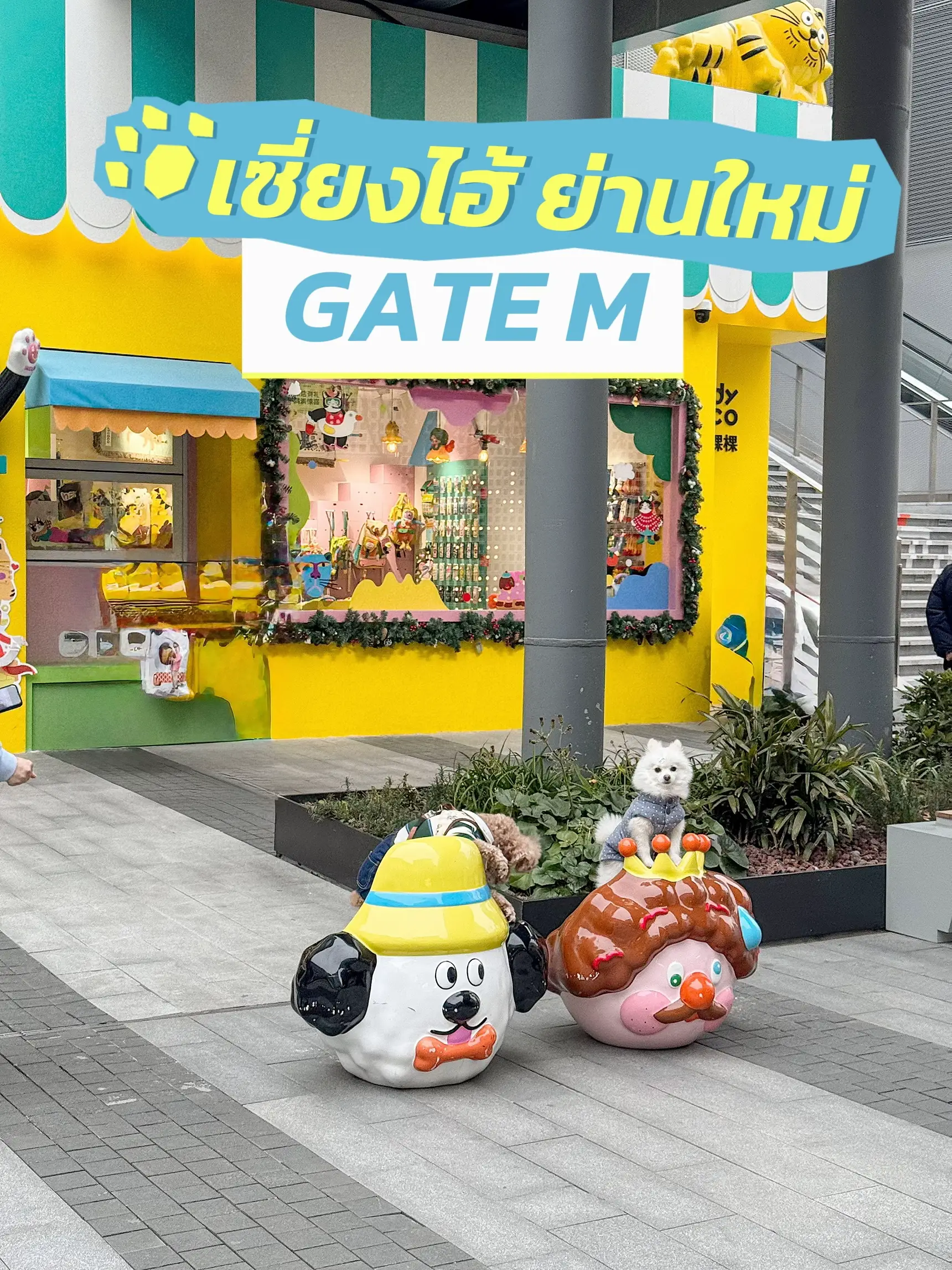GATE M ย่านใหม่ เทสดีของพส.จีน | แกลเลอรีที่โพสต์โดย CNKPAC | Lemon8