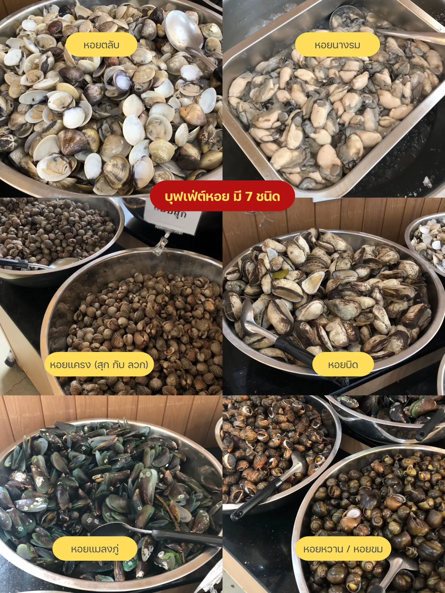 #บุฟเฟ่ต์หอย มีถึง 7 ชนิด! กินจุกๆไม่อั้น แค่สองแบงค์แดง! 🦪🥗 | แกลเลอรีที่โพสต์โดย Boboath | Lemon8
