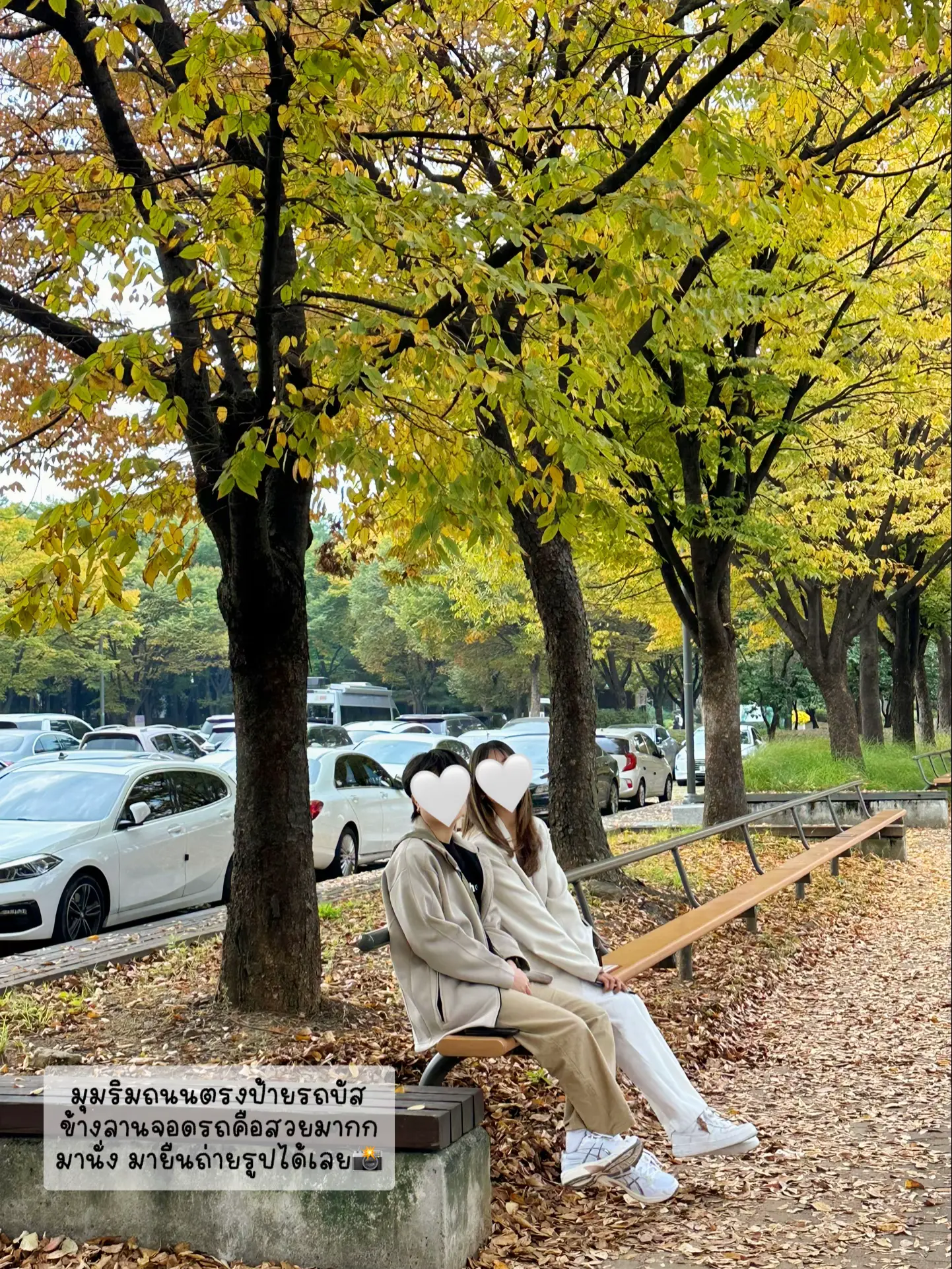 พาส่องใบไม้เปลี่ยนสีที่เกาหลี🫣🍁 | แกลเลอรีที่โพสต์โดย NY | Lemon8