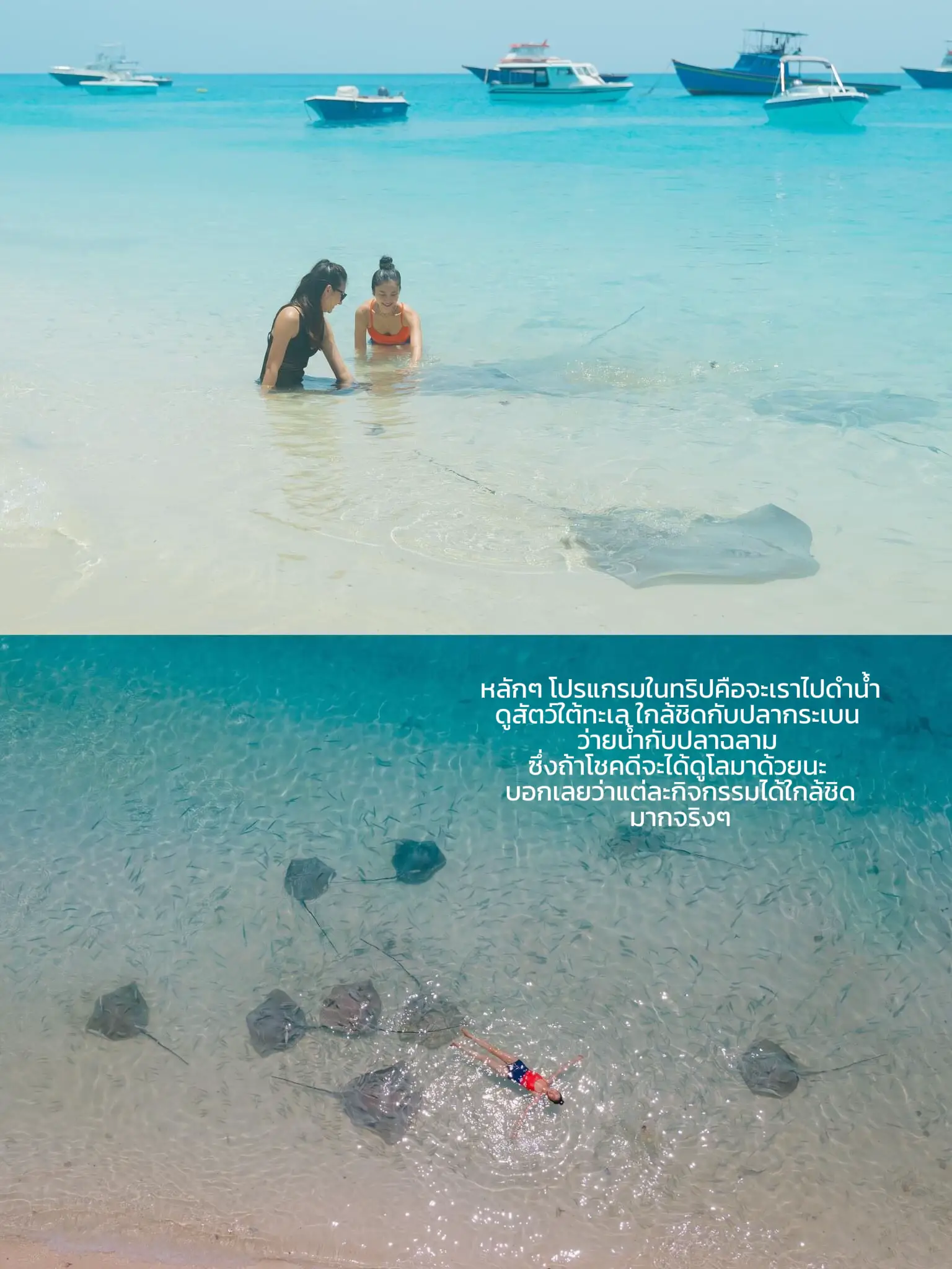 เที่ยว ‘มัลดีฟส์’ ทะเลในฝัน ดำน้ำกับฉลามพยาบาล ในงบไม่ถึงหมื่น! | แกลเลอรีที่โพสต์โดย lbzero ...