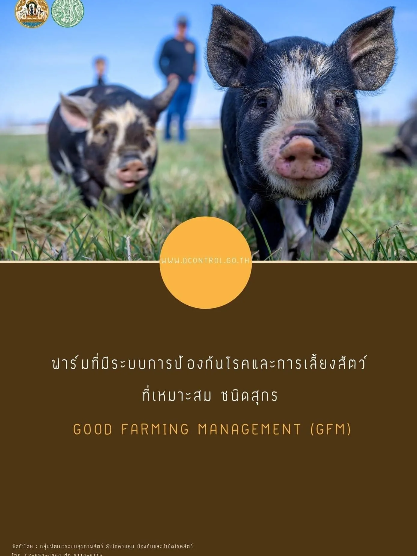 Good Farming Management (GFM) ของฟาร์มสุกร | แกลเลอรีที่โพสต์โดย ...