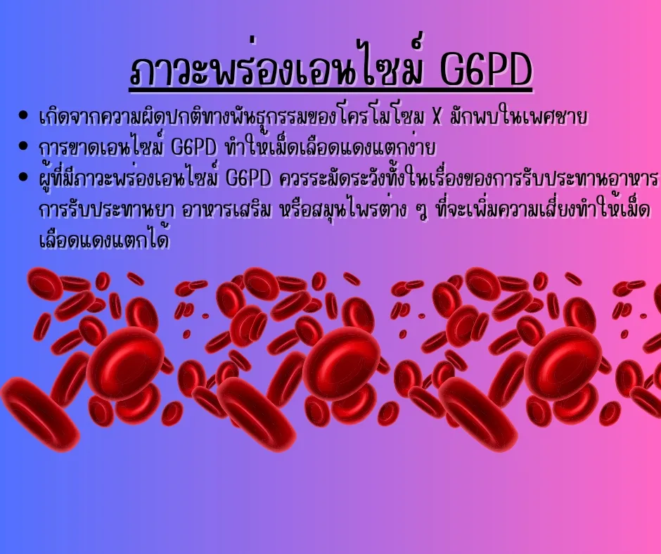 G6PD ไม่ได้ห้ามกินแค่ถั่วปากอ้า | แกลเลอรีที่โพสต์โดย Rxkamyui | Lemon8
