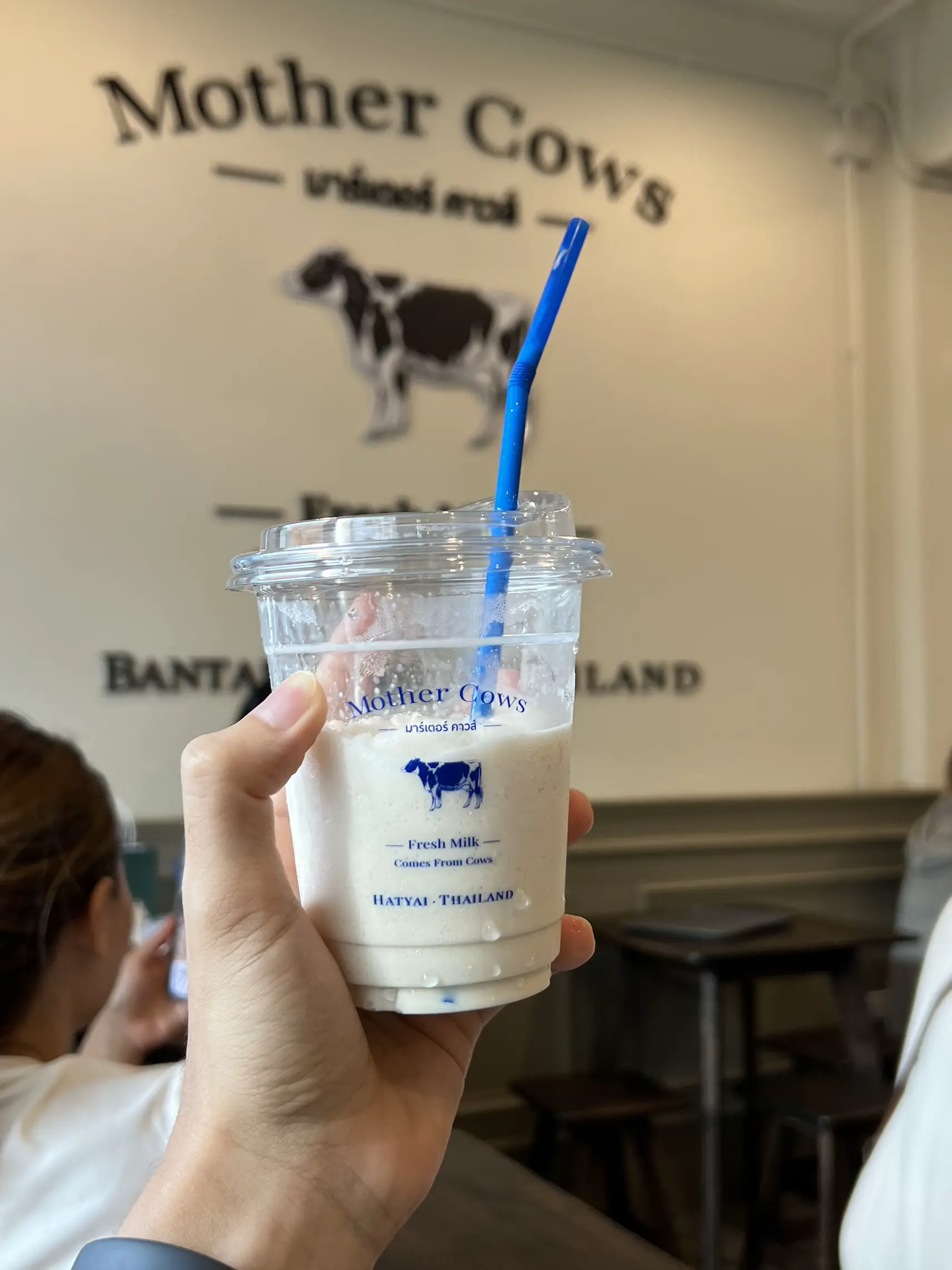 Mother COWS | แกลเลอรีที่โพสต์โดย ซึเนะโอะ | Lemon8