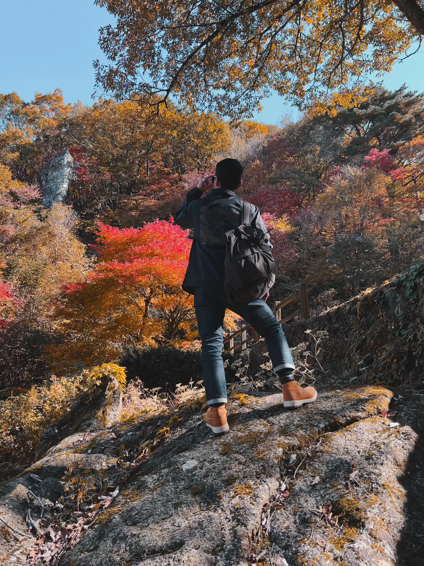 First time in soju land 🇰🇷 | Jeju leg | Day 2 a.m. | Gallery posted by ...