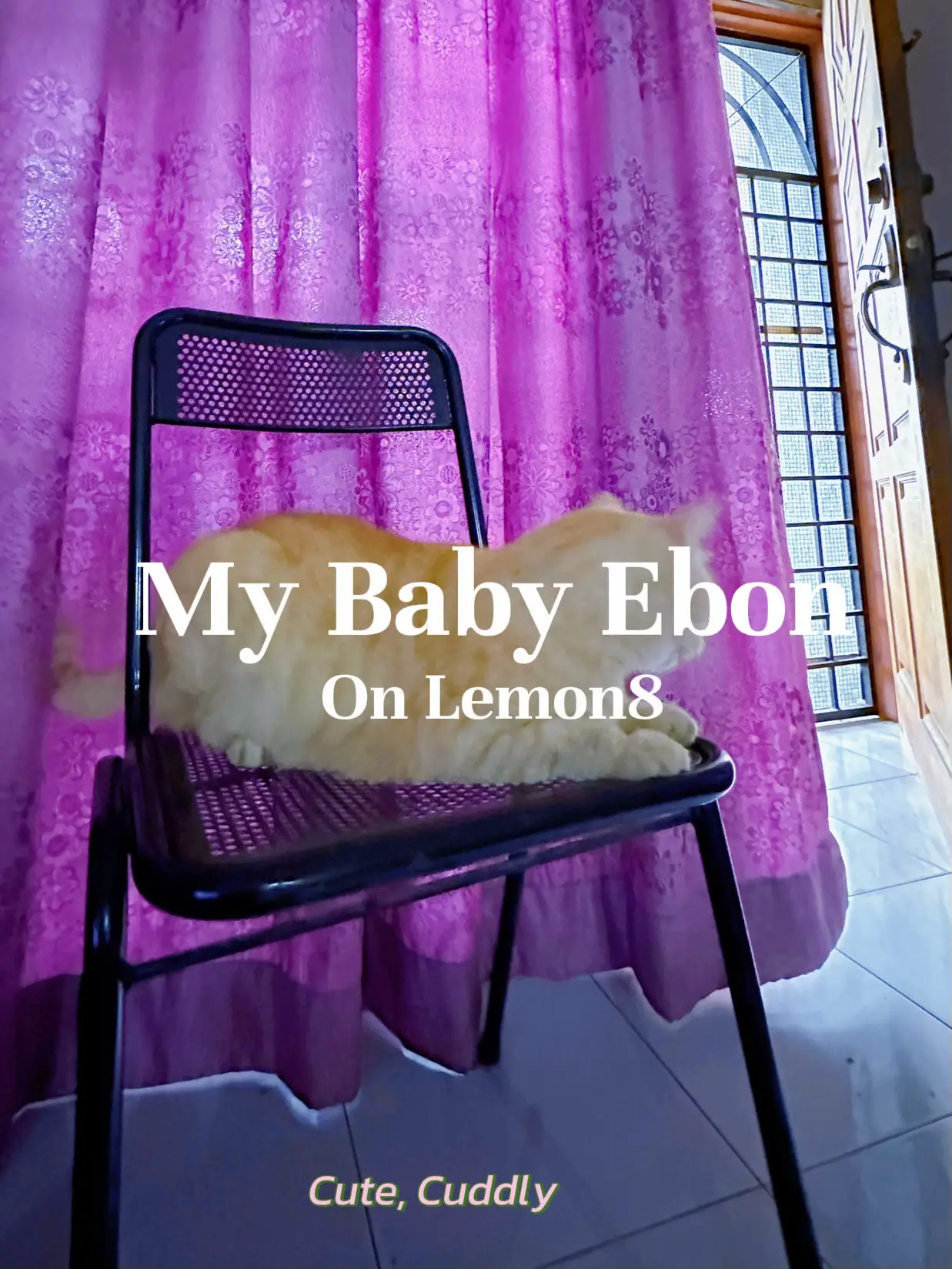 MY HEART ️ | Video diterbitkan oleh Aine Azril | Lemon8