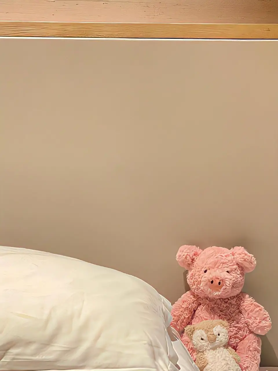 พื้นหลัง หมีๆ น่ารัก😍 | แกลเลอรีที่โพสต์โดย Kru.story | Lemon8