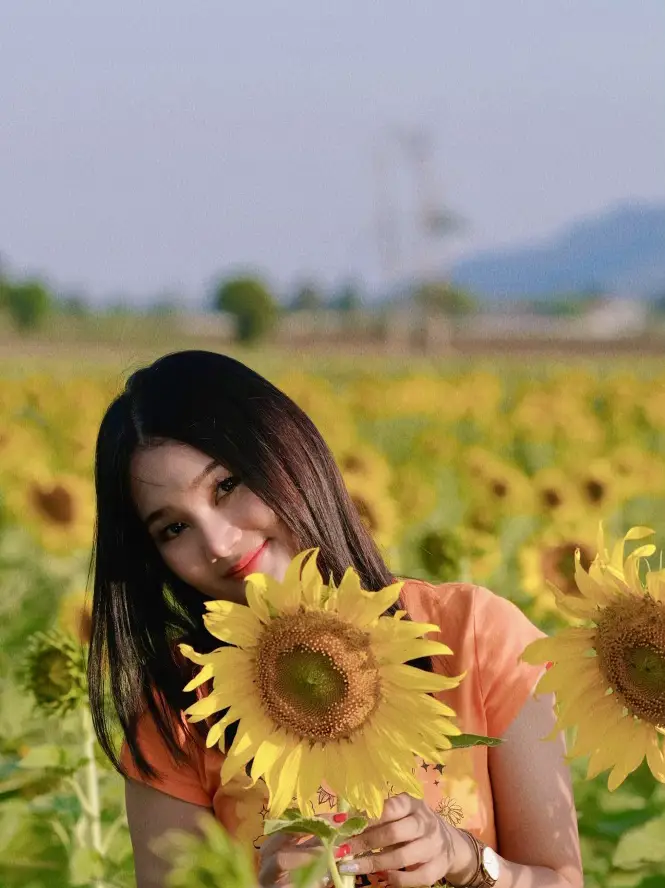 🌻🌤เจ้าดอกทานตะวัน สีเหลืองสดใส🚗 | แกลเลอรีที่โพสต์โดย J-Nistar | Lemon8