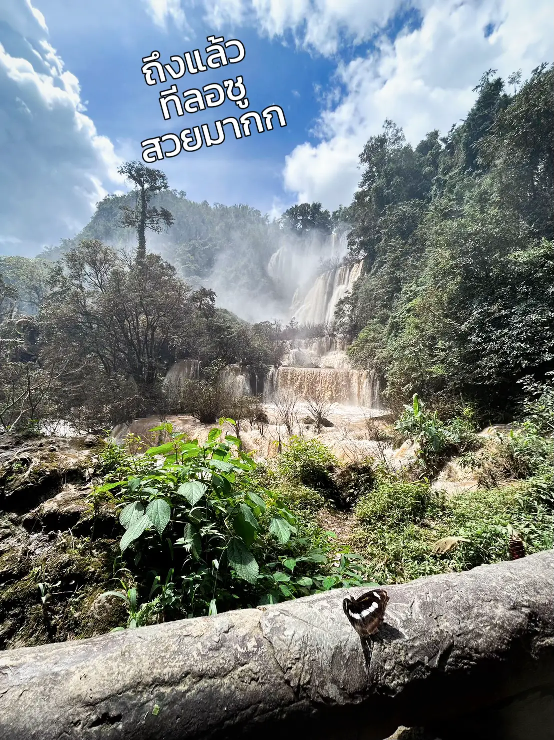 น่ำตกทีลอซู ขี่มอไซต์พิชิต 1,219 โค้ง | แกลเลอรีที่โพสต์โดย Anuwat Plaikaew | Lemon8