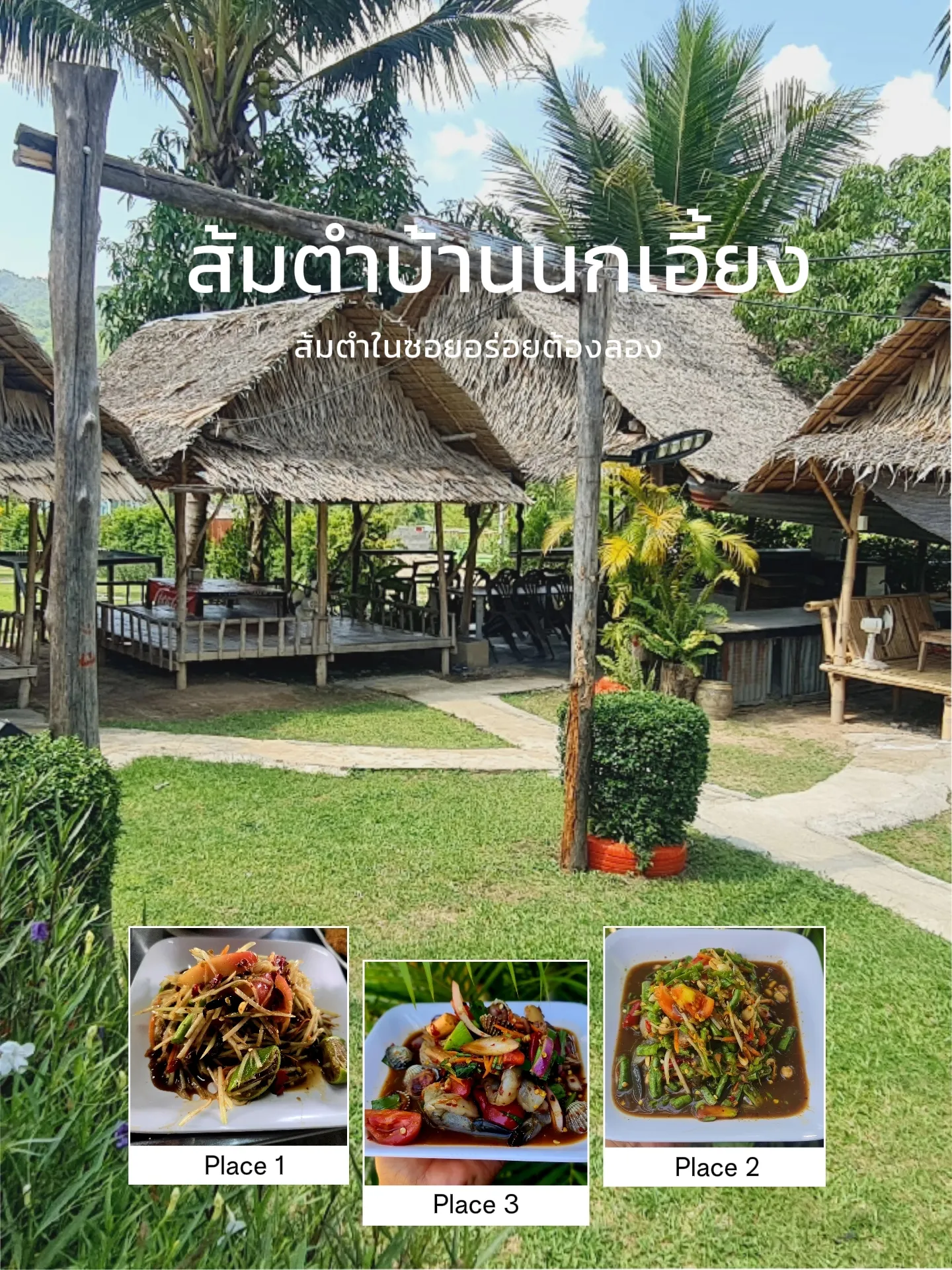 ส้มตำในซอยอร่อยต้องลอง😍 | แกลเลอรีที่โพสต์โดย DP Pinthong | Lemon8