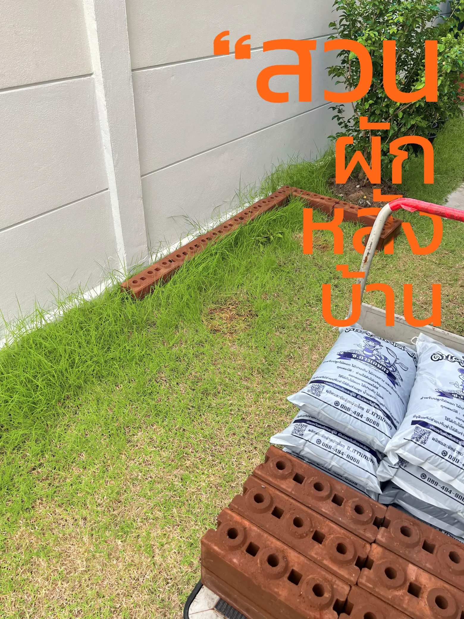 ทำแปลงผัก EP 1 | แกลเลอรีที่โพสต์โดย TP Studio Home | Lemon8