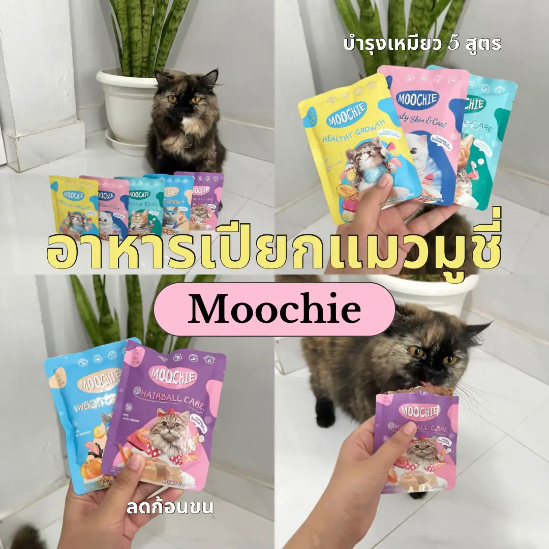 อาหารเปียก moochie บำรุงเหมียว 5 สูตร 💪🏻🐱 | แกลเลอรีที่โพสต์โดย ผักกาด ...