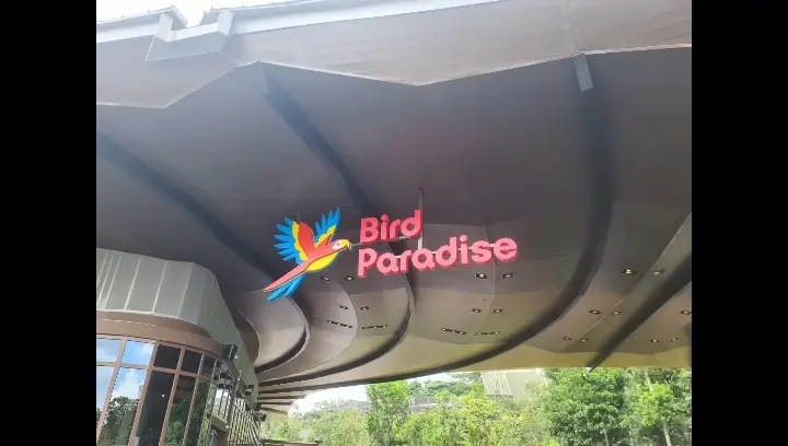 Bird paradise/ waterfall at wildlife west/Singapor | วิดีโอที่เผยแพร่โดย onnume puriyale | Lemon8