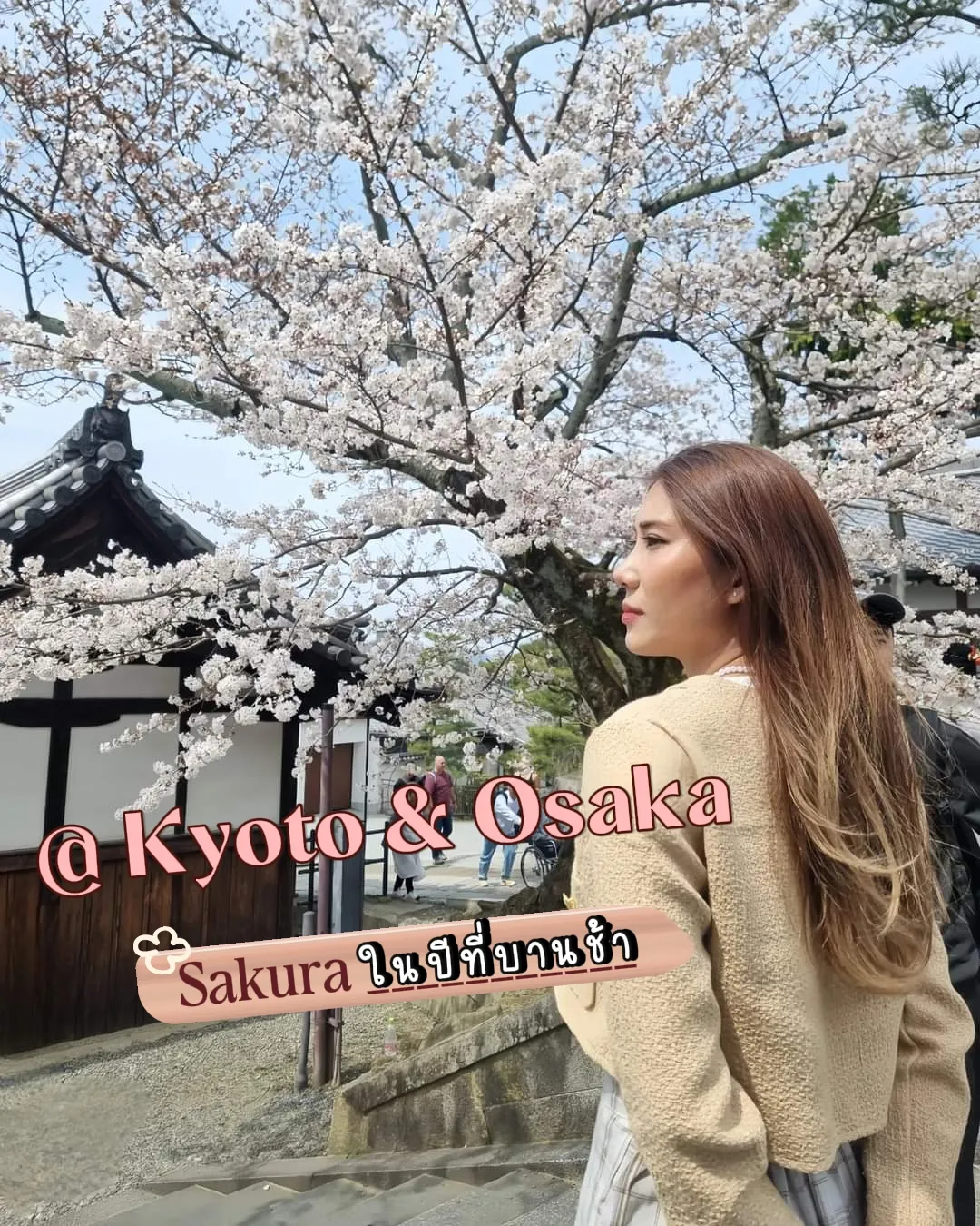 ซากุระ Kyoto & Osaka (ปีที่บานช้าสุดๆ ในรอบหลายปี) | แกลเลอรีที่โพสต์โดย monmalao | Lemon8
