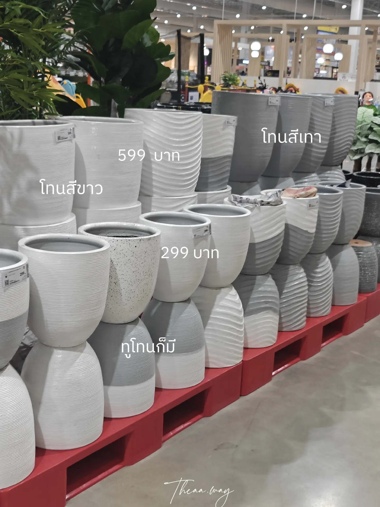 พาส่อง พิกัด กระถางปูน ปลูกต้นไม้ minimal | แกลเลอรีที่โพสต์โดย theaa ...