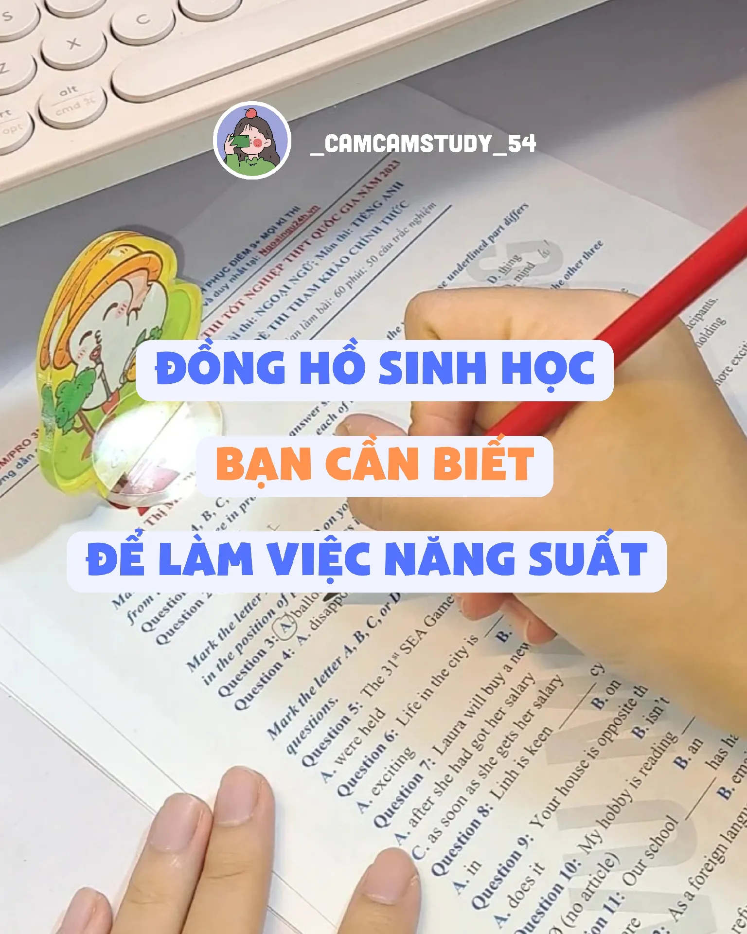 Bạn sẽ làm việc năng suất hơn khi đọc bài viết sau | Bộ sưu tập do camcamstudy54 đăng | Lemon8