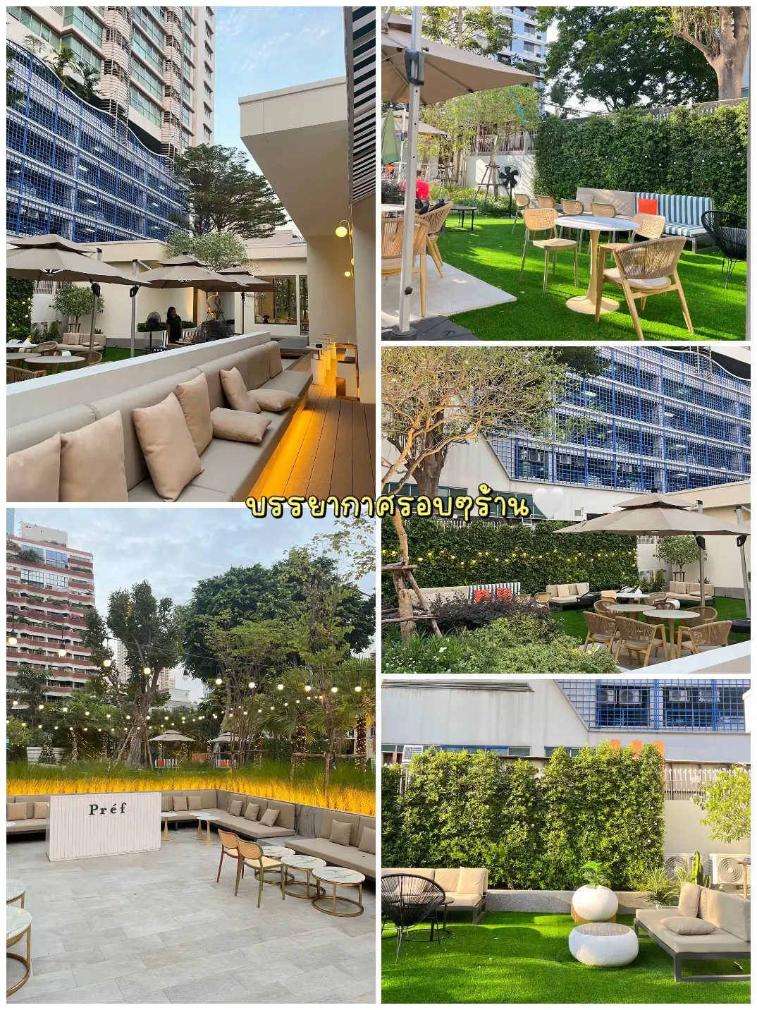 Cafe in bkk📸 | แกลเลอรีที่โพสต์โดย palmypnsrr | Lemon8