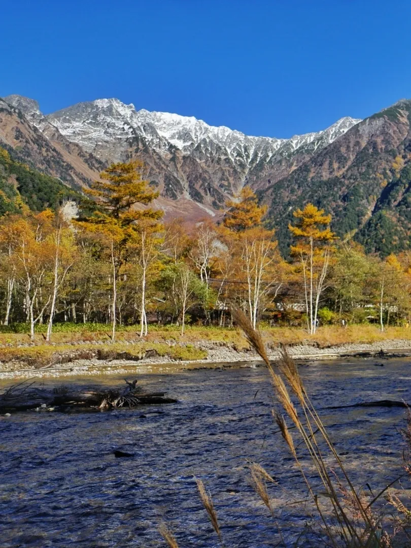 Autumn | แกลเลอรีที่โพสต์โดย rattanon.pat | Lemon8