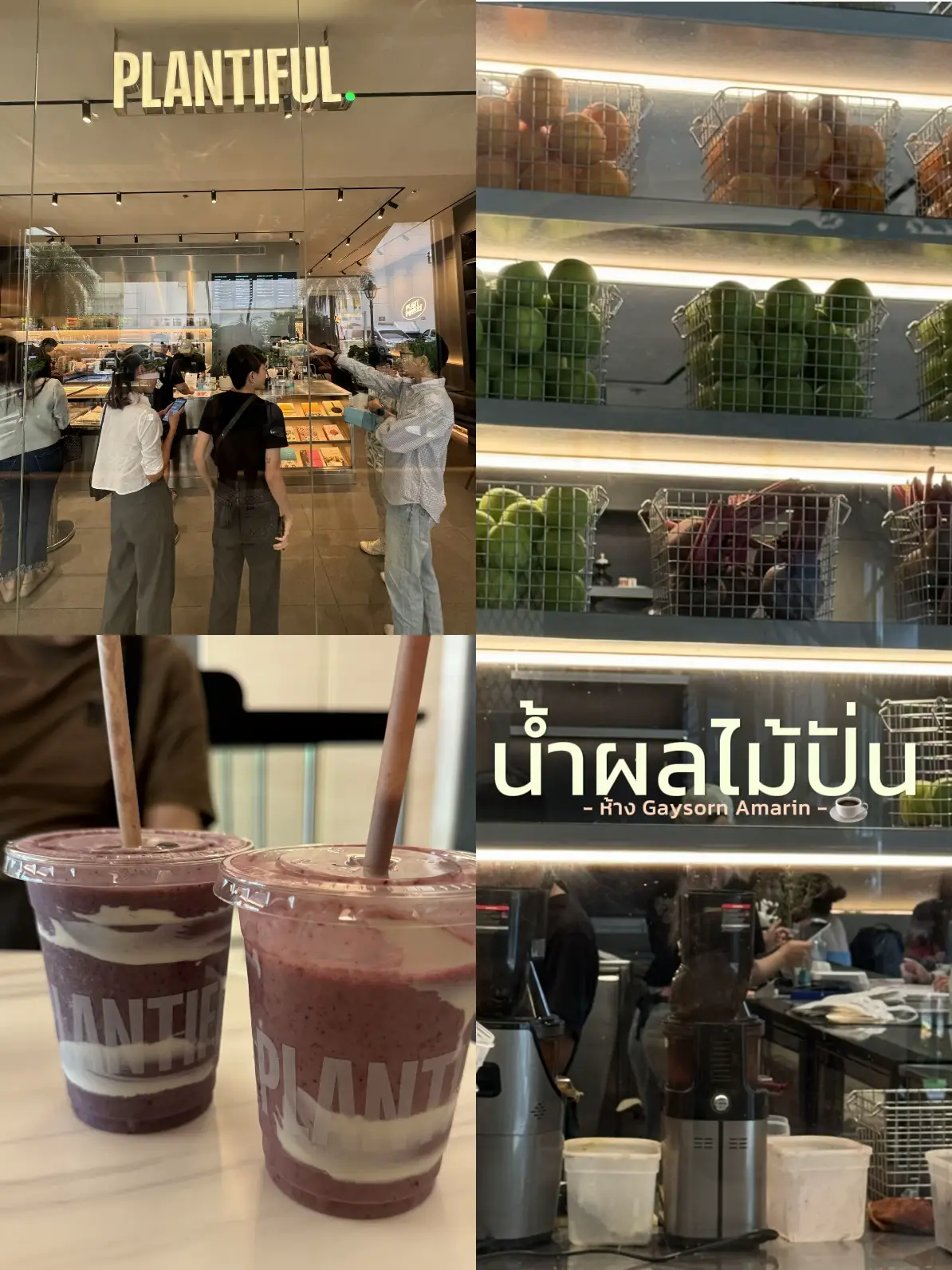 Plantifulショップブレンダージュースはストリームになっています | Topが投稿したフォトブック | Lemon8