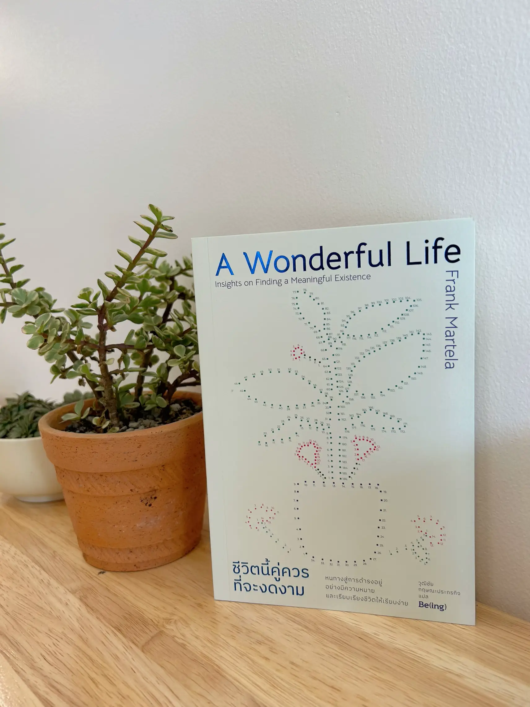 Mikka Saraburi คาเฟ่เปิดใหม่ย่านใจกลางเมืองสระบุรี | แกลเลอรีที่โพสต์ ...