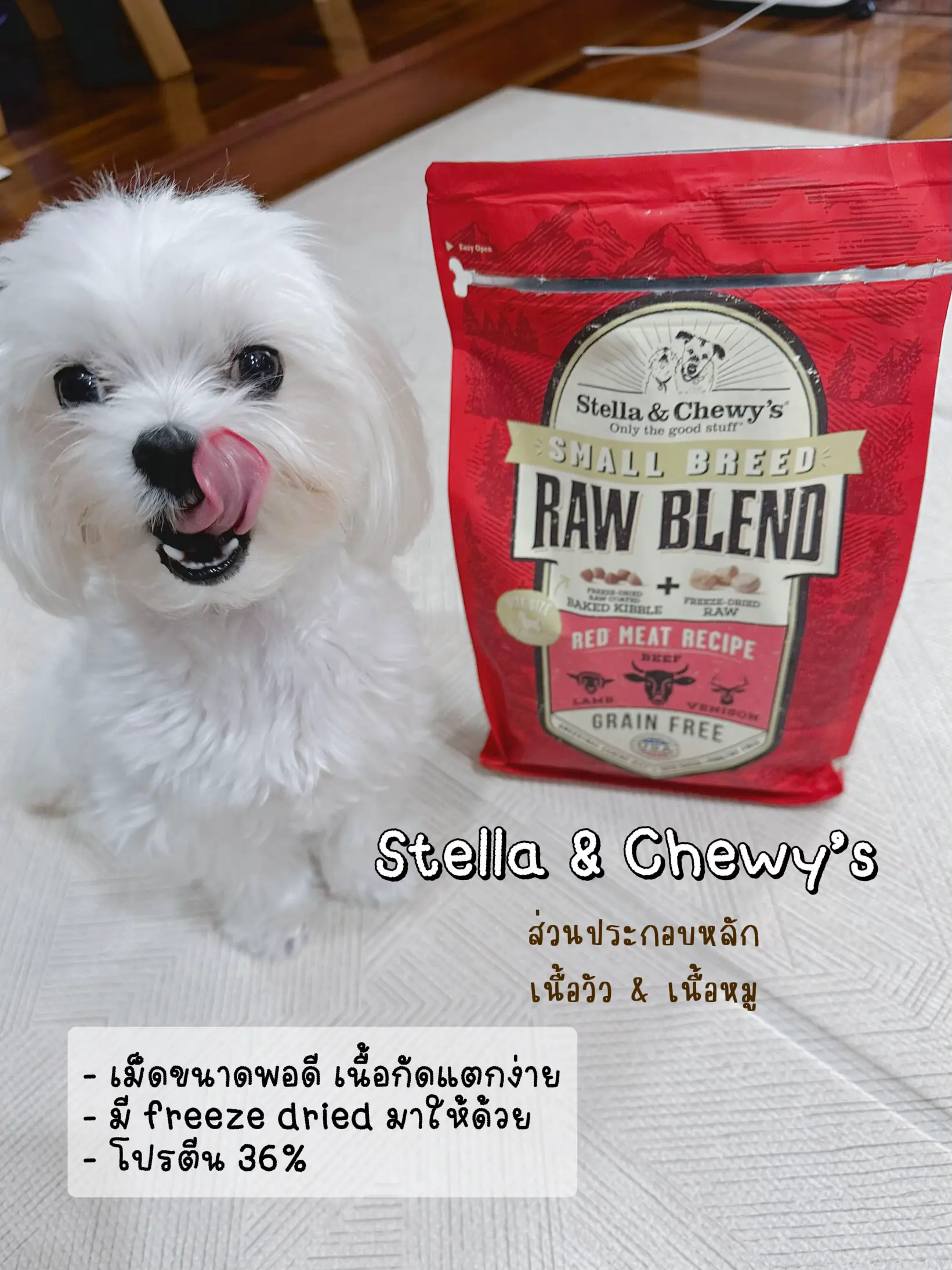 อาหารเม็ดสำหรับสุนัขตัวจิ๋ว 🐶 | แกลเลอรีที่โพสต์โดย polar.maltese | Lemon8