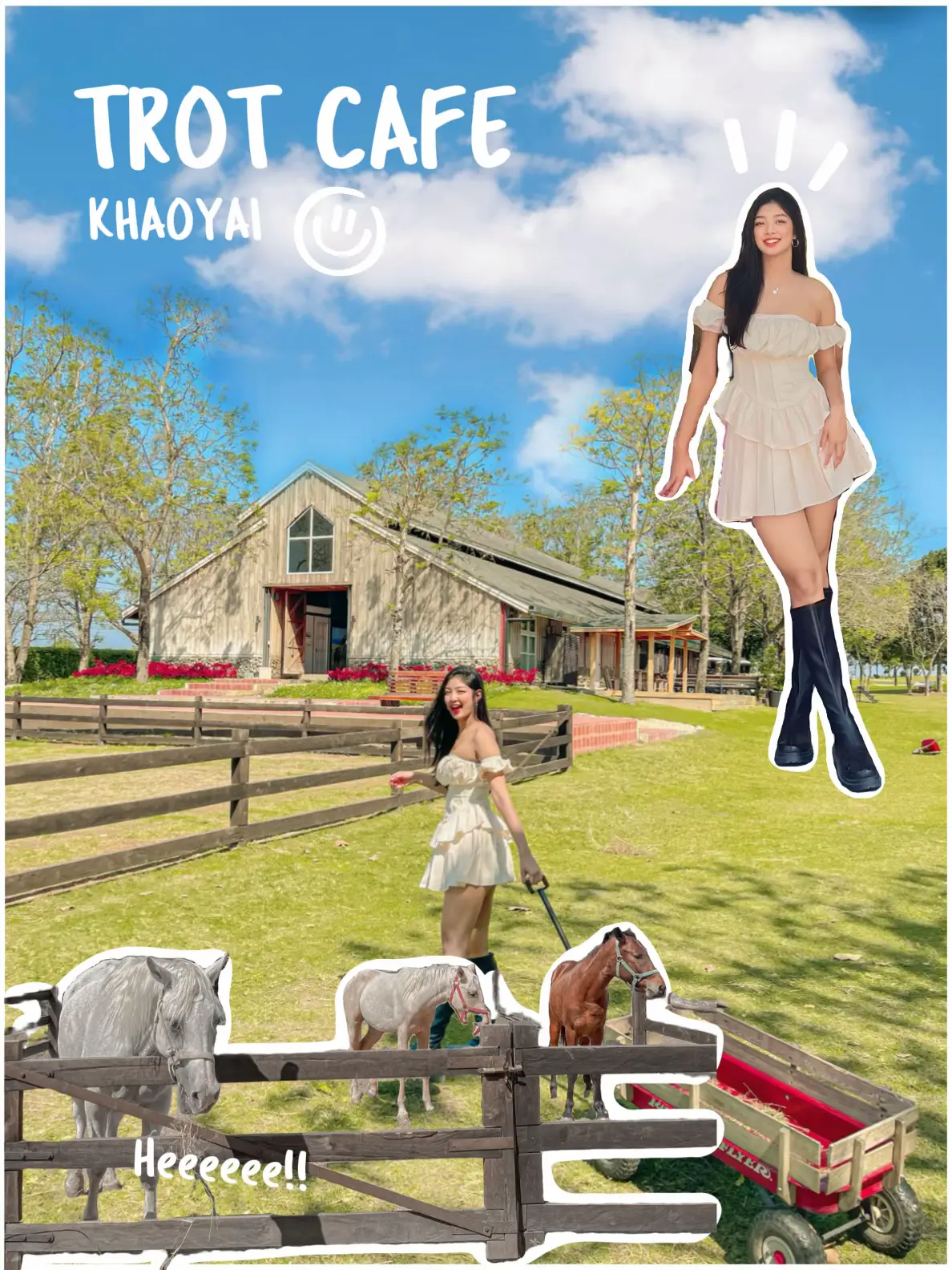 トロットカフェ 🐴 | Pimsane 🪻💜が投稿したフォトブック | Lemon8