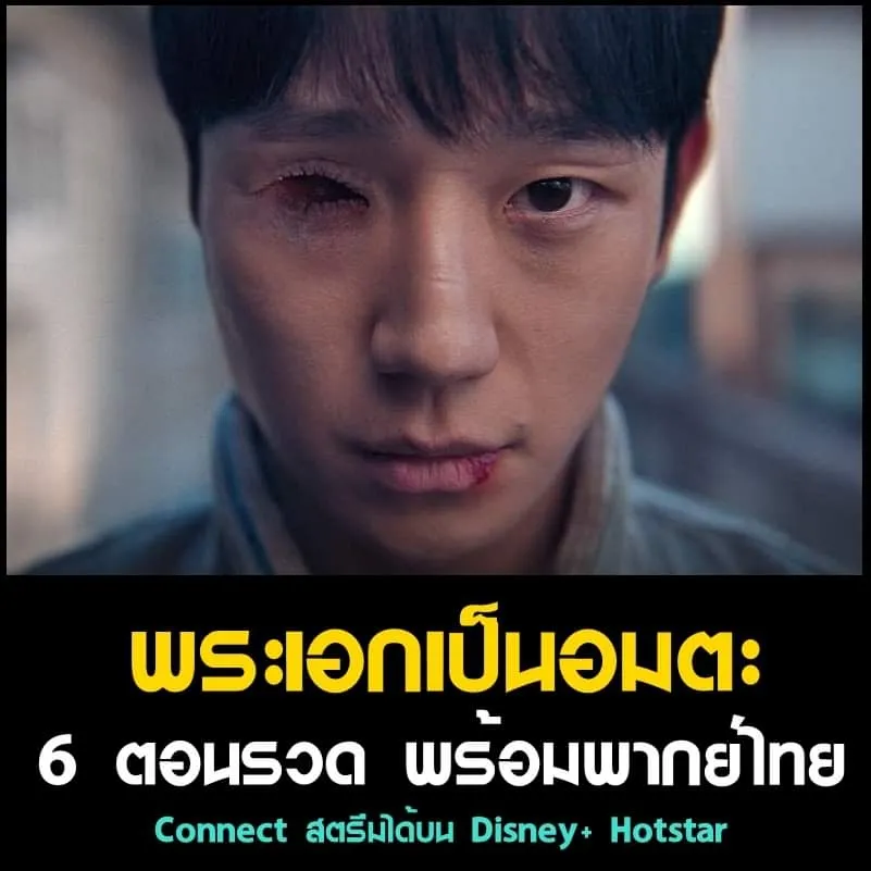 Disney พร้อมส่งจ้า 85฿/เดือน | แกลเลอรีที่โพสต์โดย JanpenPansing | Lemon8