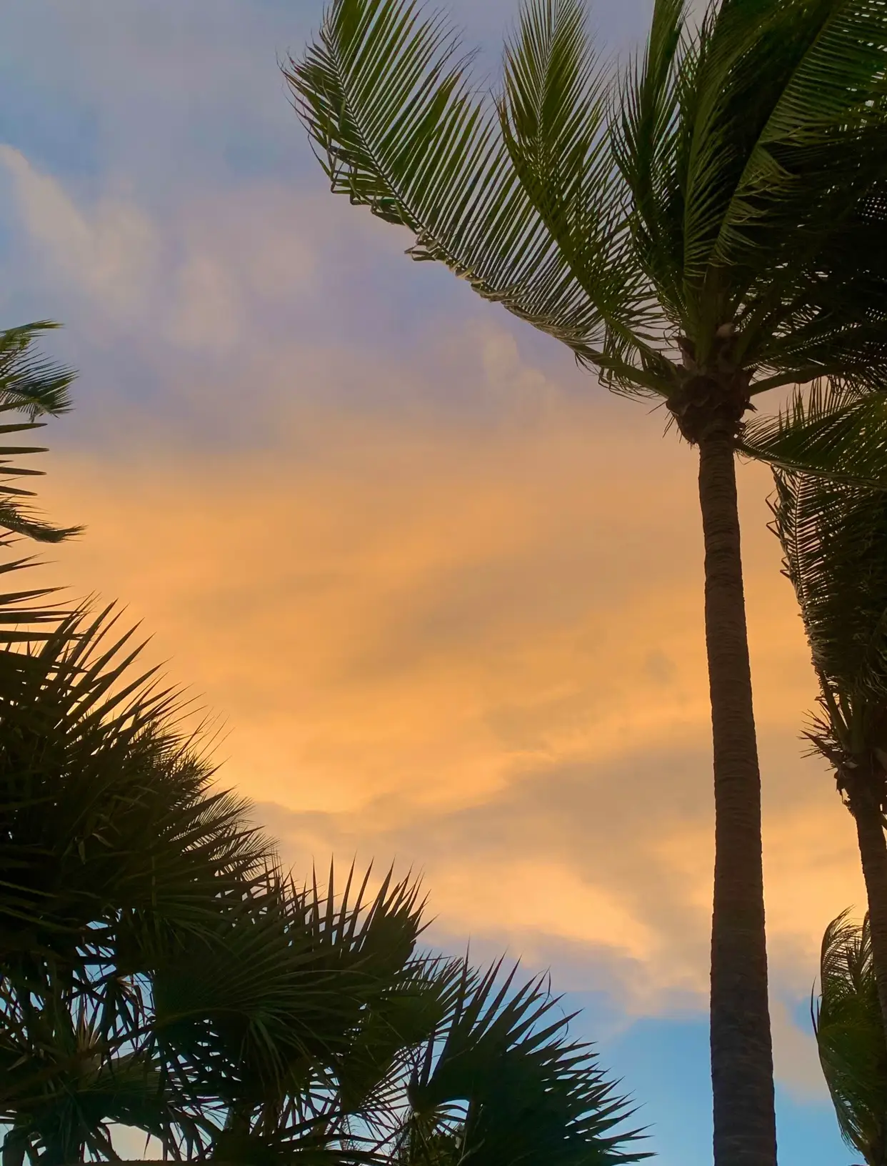 แจกโทนก้อนเมฆ 🍋 | แกลเลอรีที่โพสต์โดย Siapoxy | Lemon8