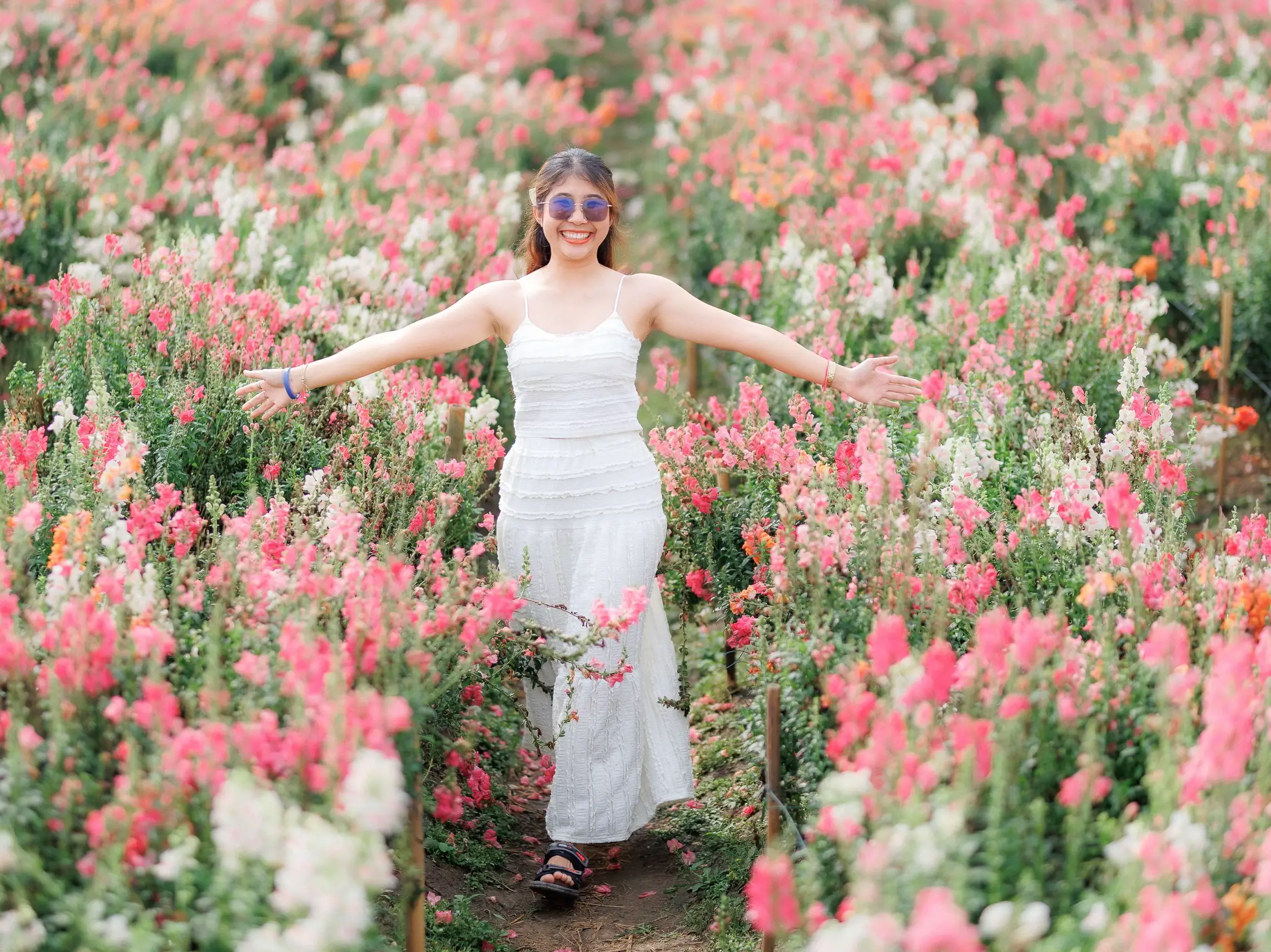 จ้างตากล้องถ่ายรูปสวยๆ I Love Flowe Farm. : Chiangmai | แกลเลอรีที่ ...