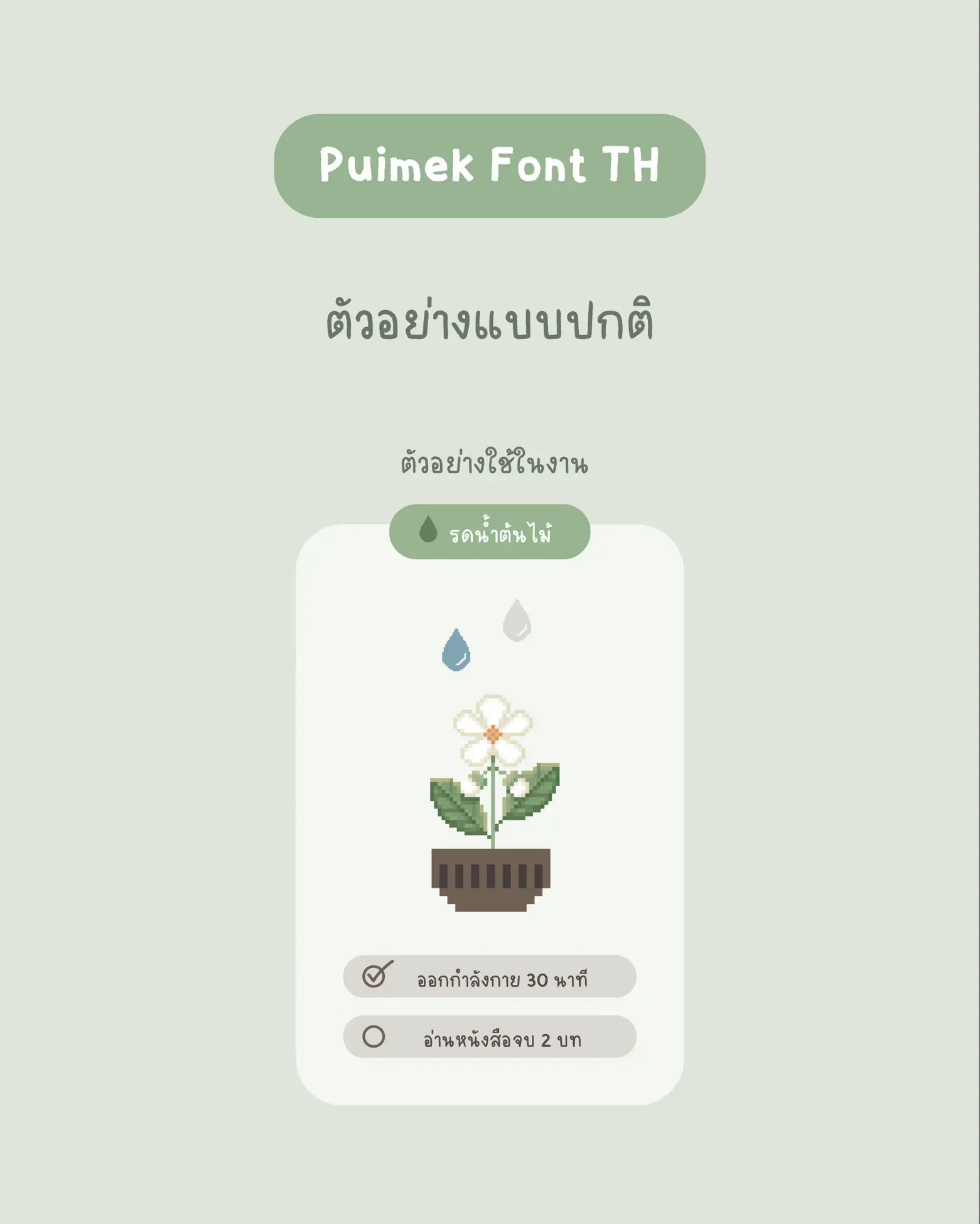 ฟอนต์ Canva ที่นิยมใช้มากที่สุด