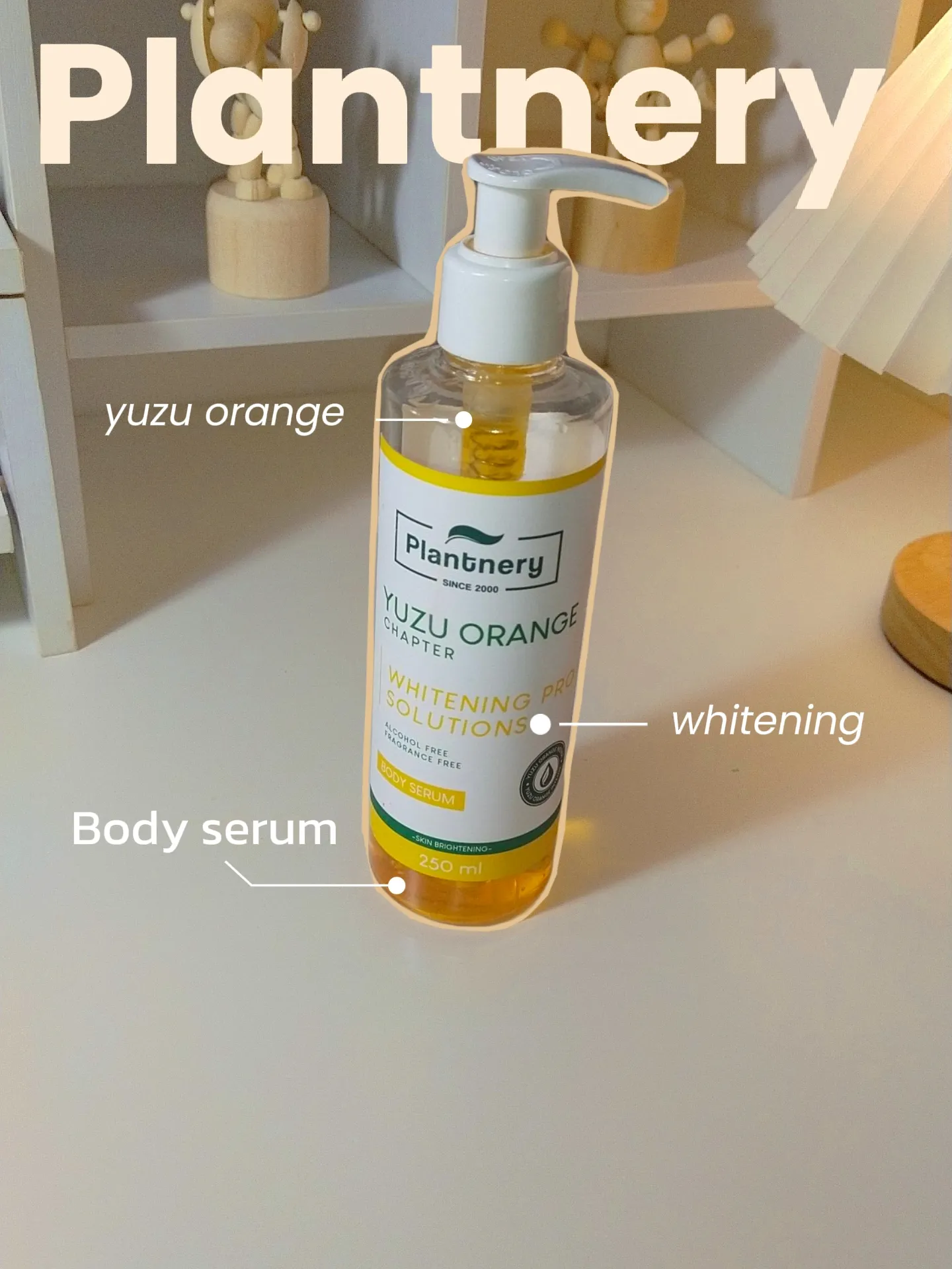 Plantnery | แกลเลอรีที่โพสต์โดย หน่อมาย | Lemon8