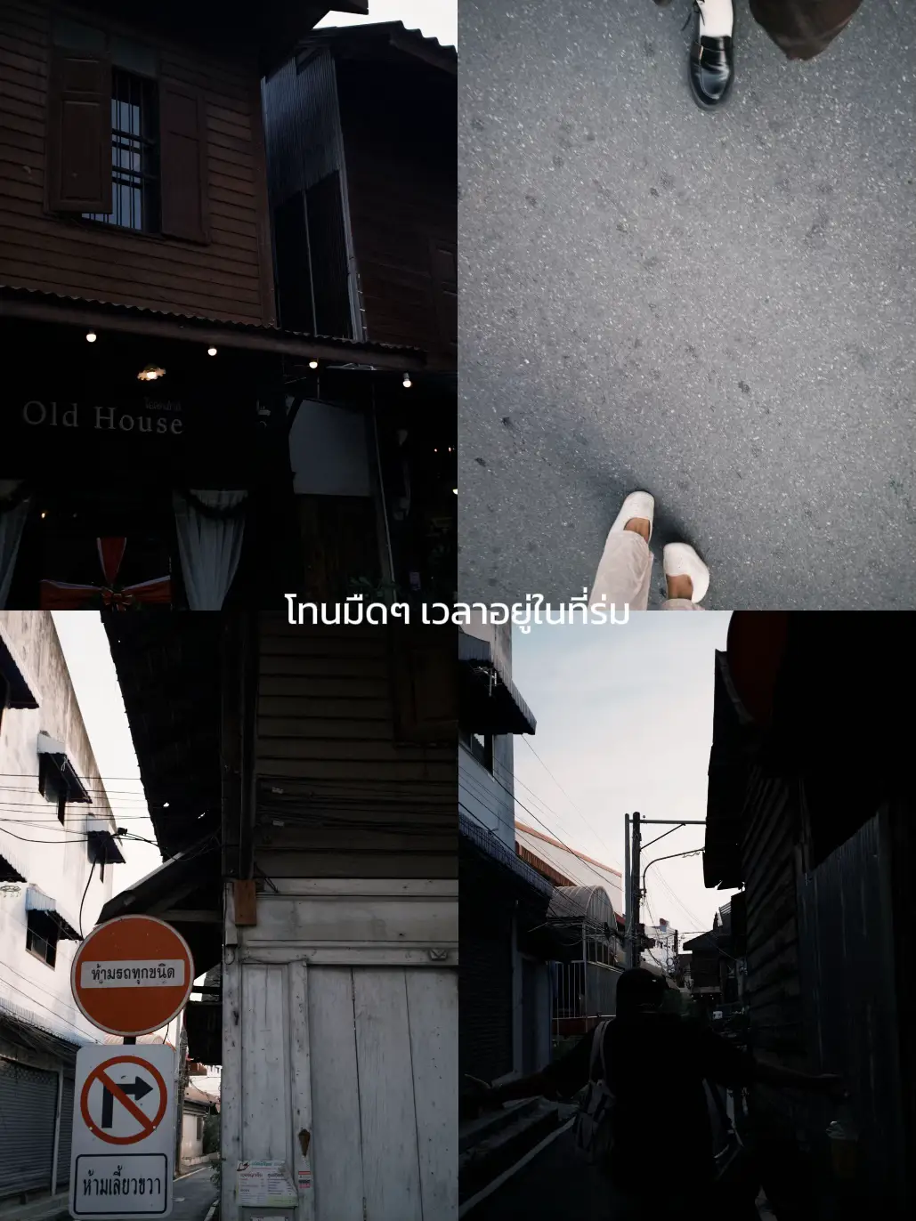 🎞️📽️แอพดีบอกต่อ EP.5 กล้องฟิล์ม FXN R ในแอพ Dazz Cam📸 | แกลเลอรีที่ ...