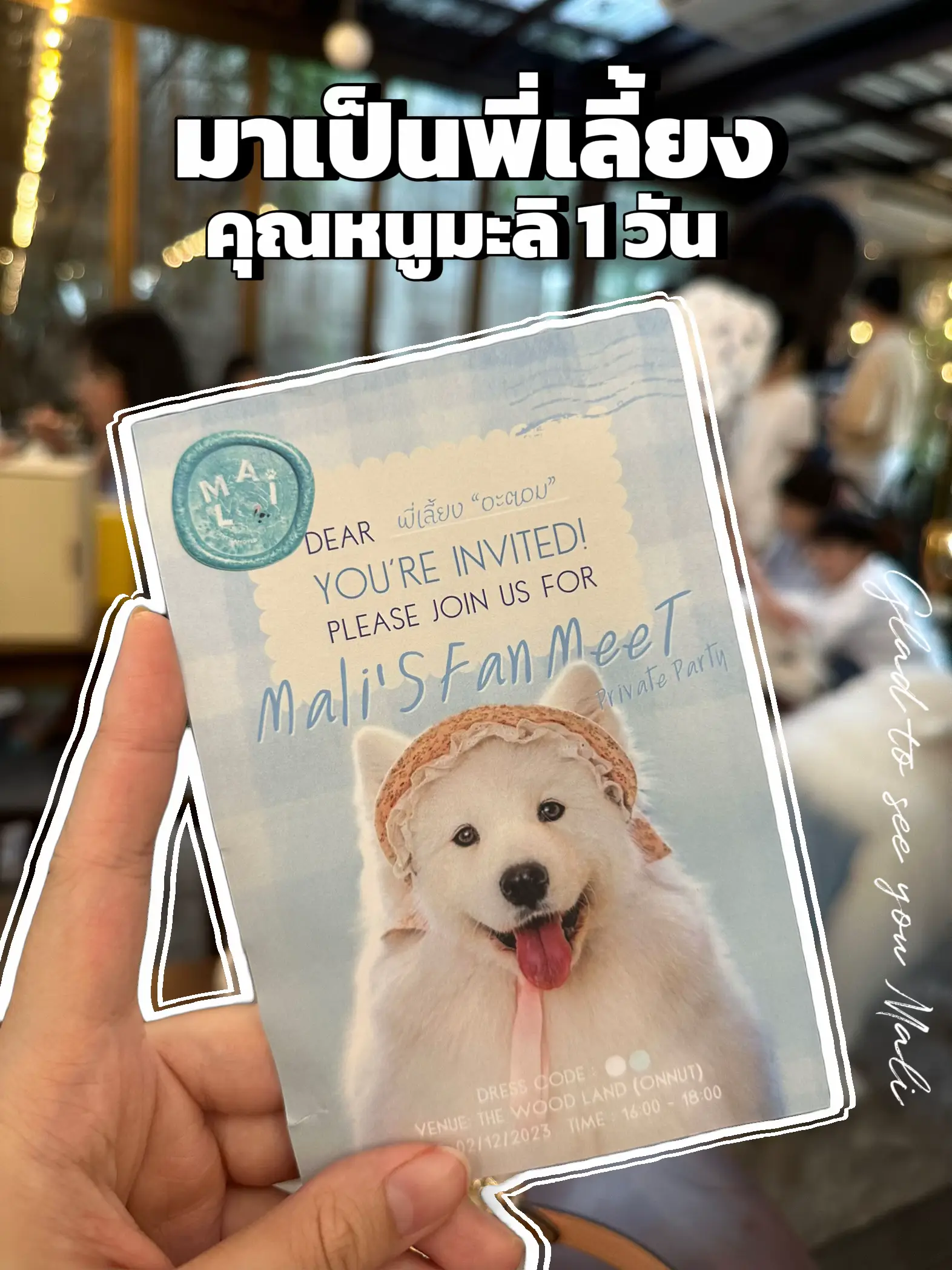 ไปเป็นพี่เลี้ยงออฟไลน์ของคุณหนูมะลิ1วัน🐻‍ ️ | แกลเลอรีที่โพสต์โดย 08.atom.diary | Lemon8