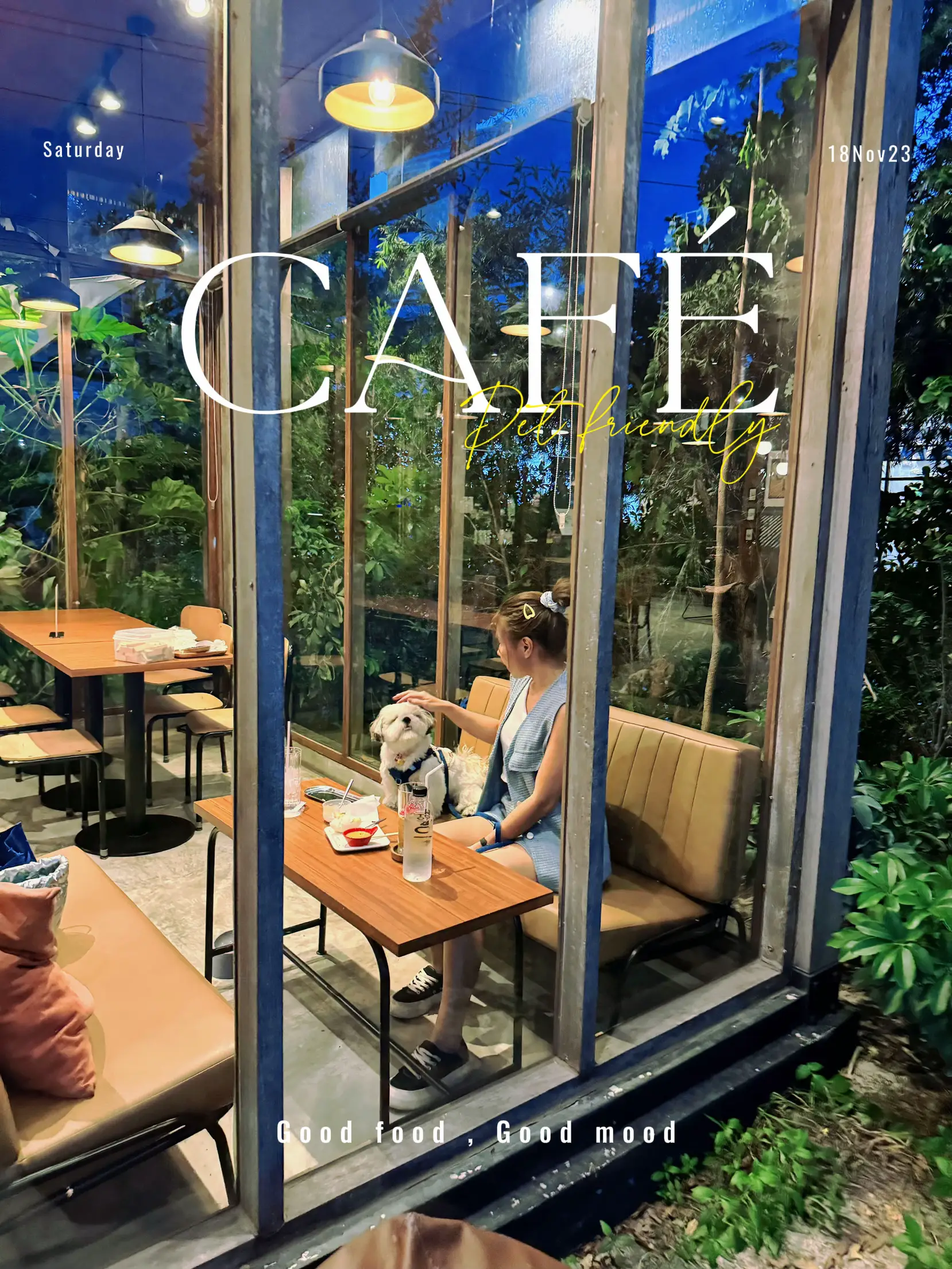 My furry friend 🐶🐾 | แกลเลอรีที่โพสต์โดย Noona.tunchanok | Lemon8