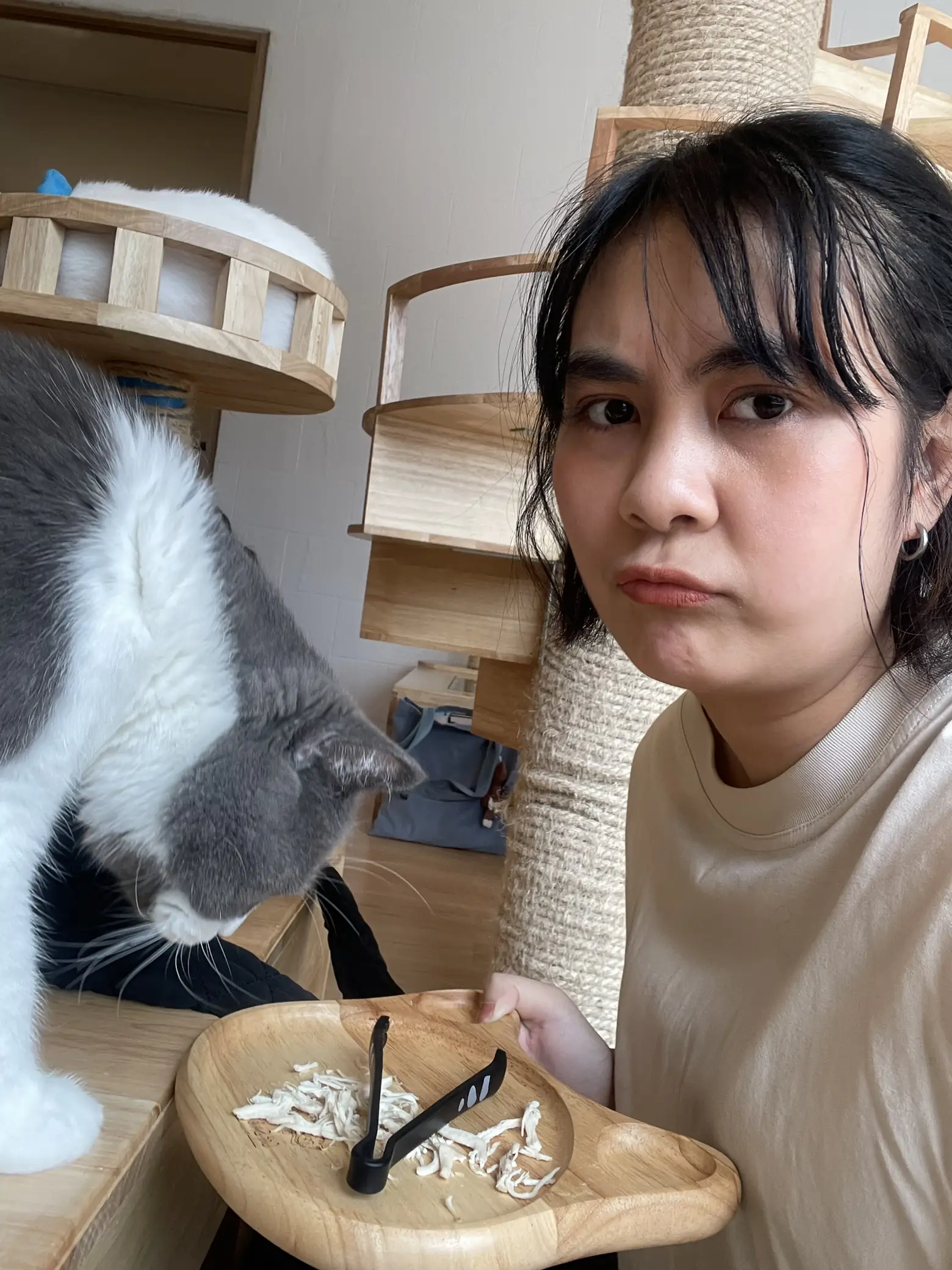 คาเฟ่คนเดียวก็เที่ยวได้ ไปคาเฟ่แมวกัน | BTS พหลโยธิน24 | แกลเลอรีที่โพสต์โดย Pimdeed | Lemon8