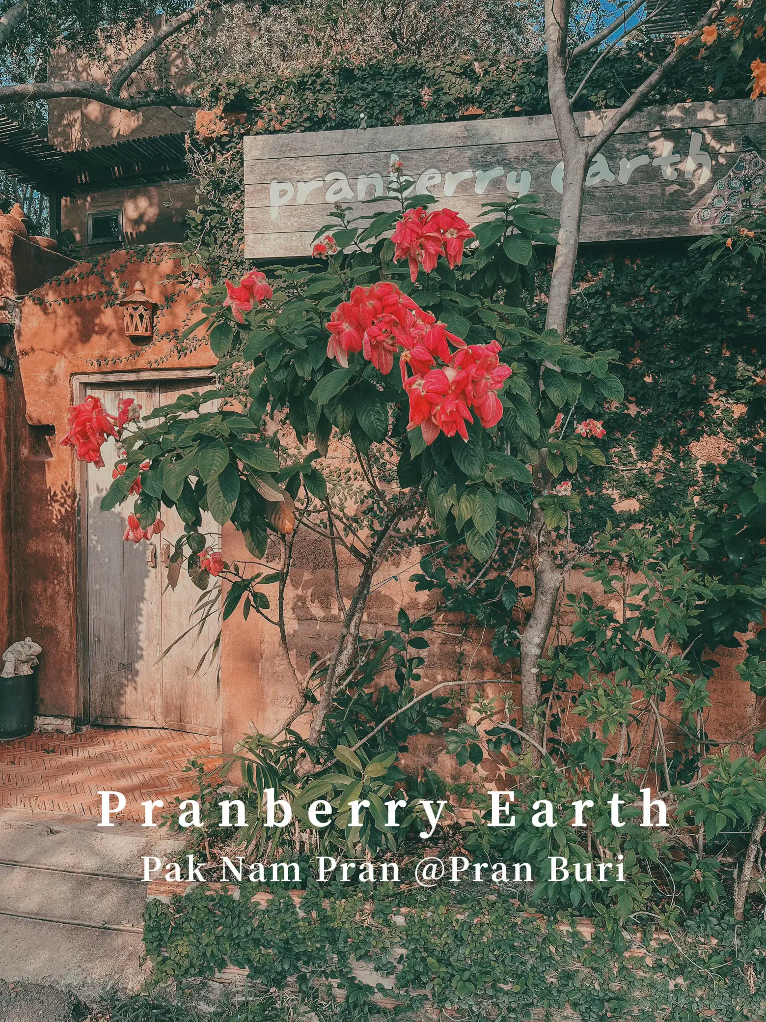 🌺Pranberry Earth🌺 | แกลเลอรีที่โพสต์โดย SaRan | Lemon8