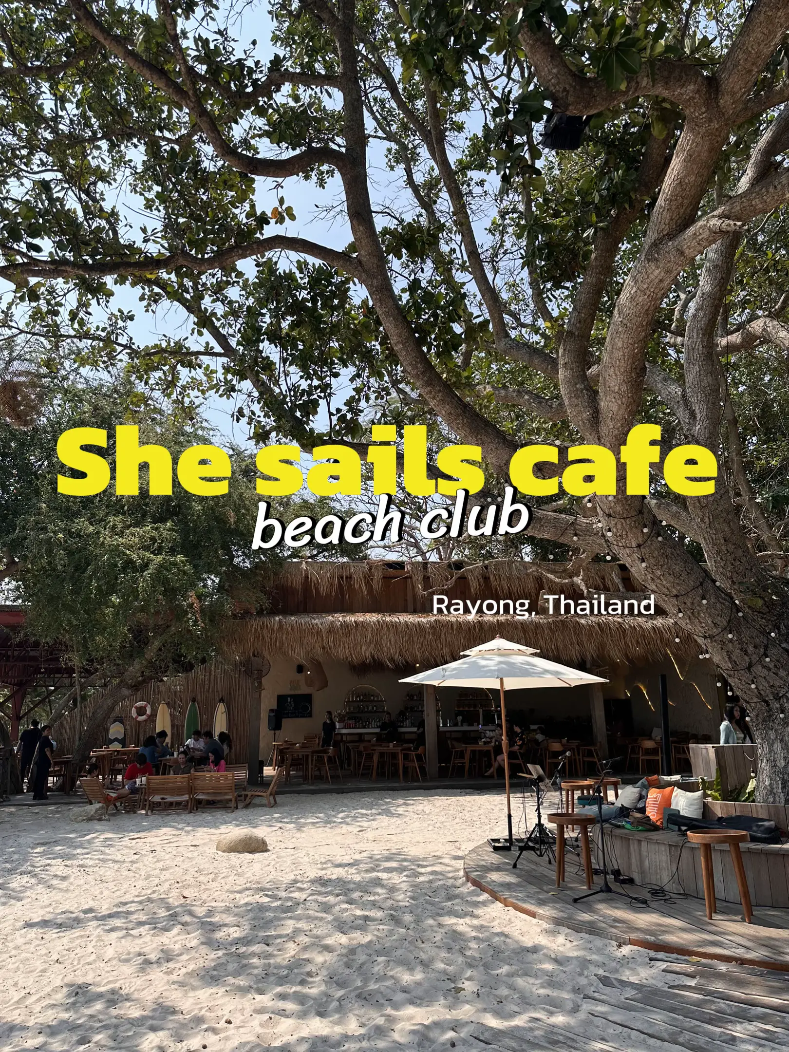 Mlive Thai - การค้นหาใน Lemon8