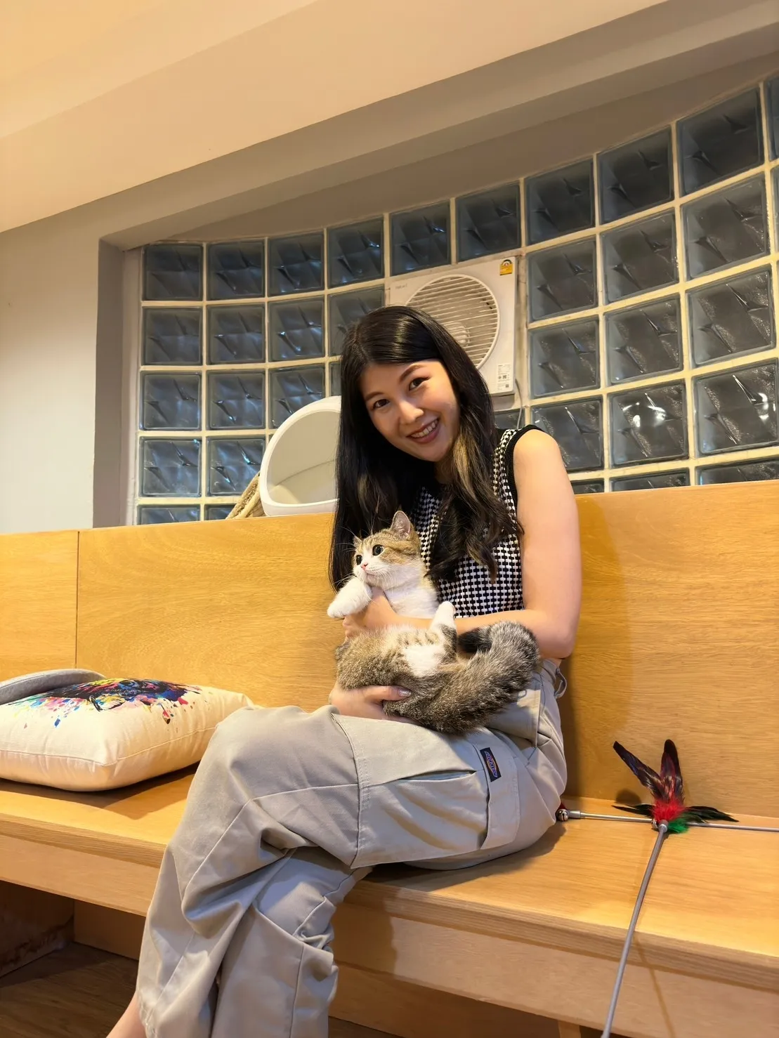 catnip house cat cafe | แกลเลอรีที่โพสต์โดย Araya D | Lemon8