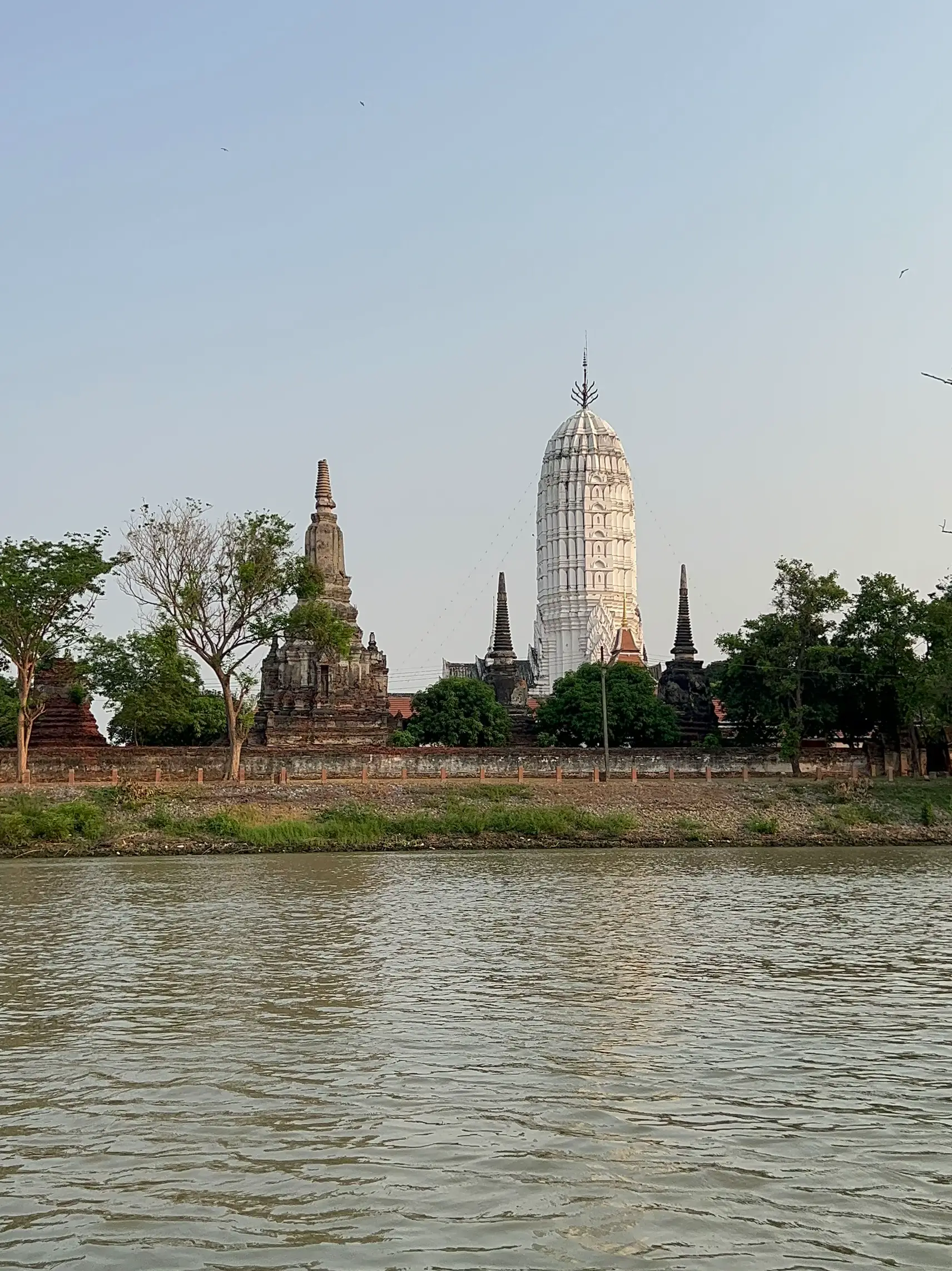 กิจกรรมใหม่ ไม่ซ้ำใคร 📌 พิกัดอยุธยา พาย SUP board ชมวิววัดไช | แกลเลอรีที่โพสต์โดย paddle.ploy ...