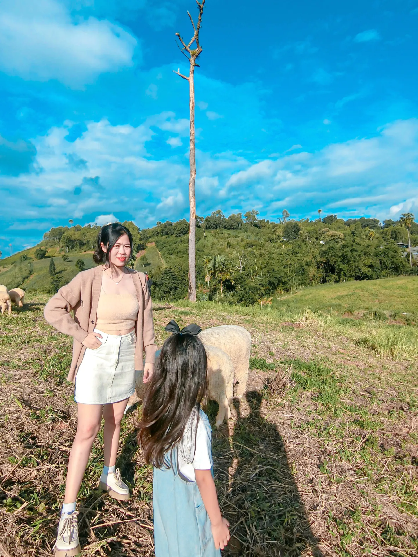 ม่อนแกะ | แกลเลอรีที่โพสต์โดย Joyll skin care | Lemon8