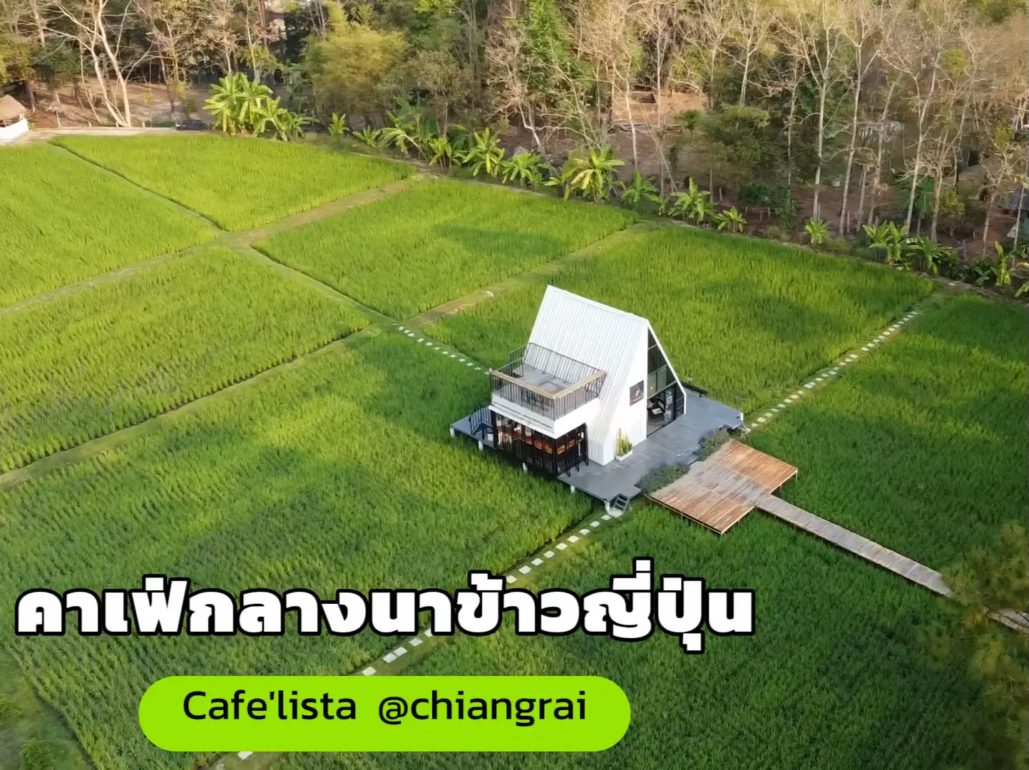 Cafe'lista คาเฟ่กลางนาข้าวญี่ปุ่นแห่งเดียวในประเทศไทย ⛰️🌾 | วิดีโอที่เผยแพร่โดย Cafe'lista | Lemon8