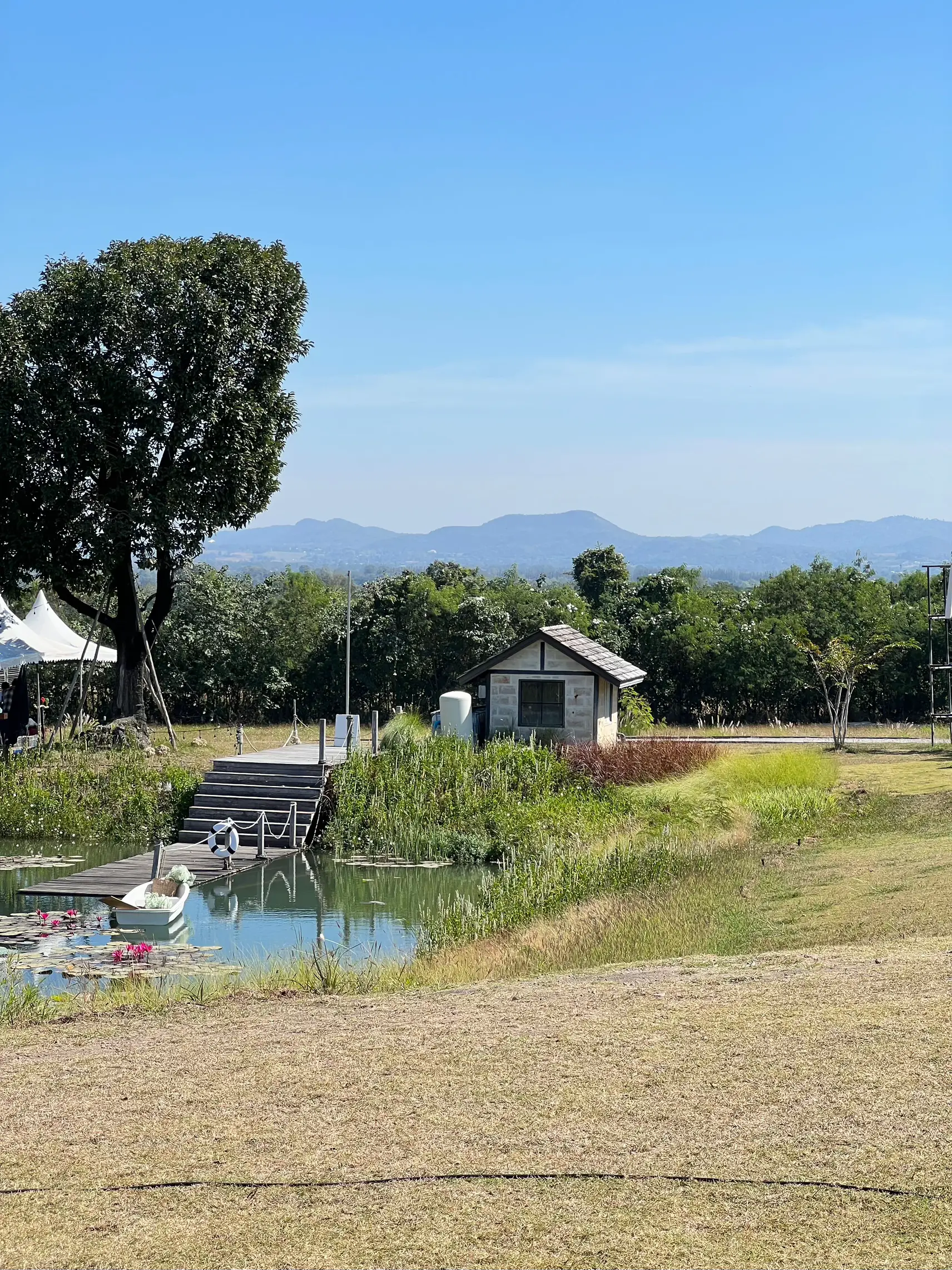 รีบไปก่อนปิด | After you midwinter farm khaoyai 🌤️🐑 | แกลเลอรีที่โพสต์ ...