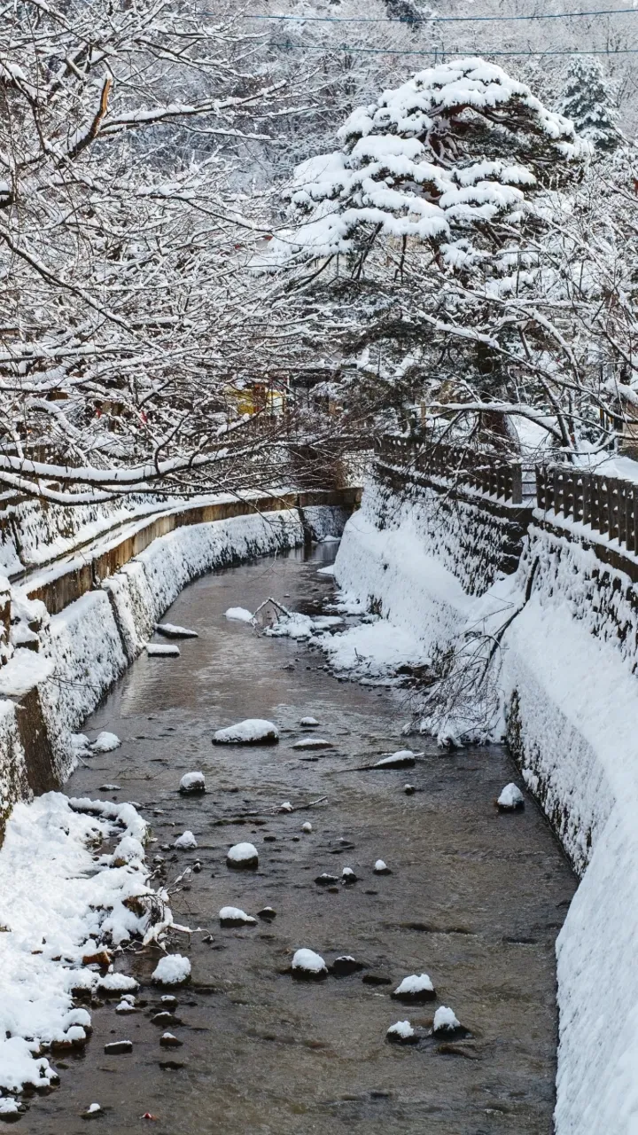 ทาคายาม่า (Takayama) เมืองนี้มีอะไรดีกันนะ? | วิดีโอที่เผยแพร่โดย Tourist Sense | Lemon8