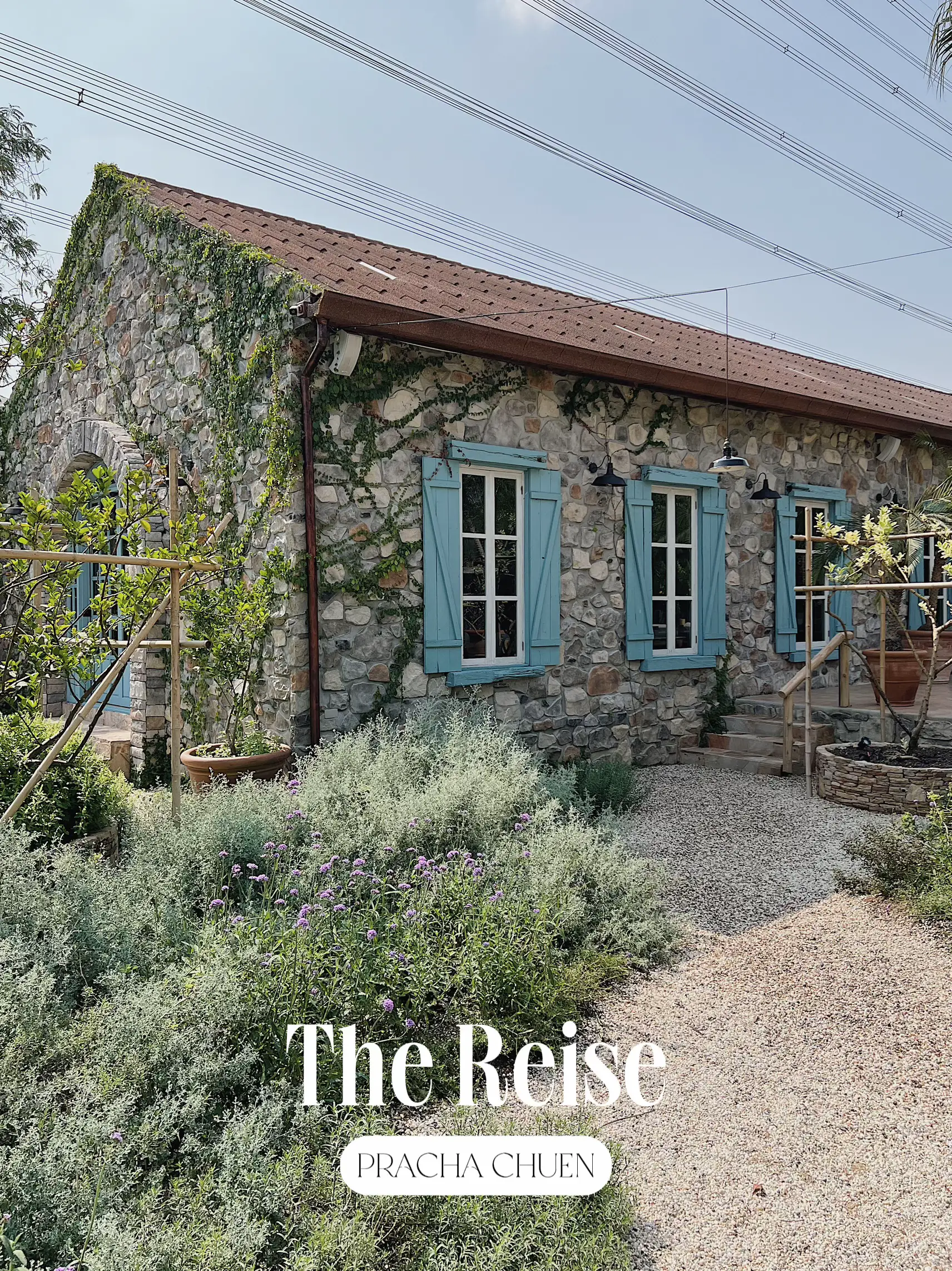 The Reise ร้านอาหารอิตาเลี่ยนมู้ดดี มุมถ่ายรูปเยอะมาก | แกลเลอรีที่ ...