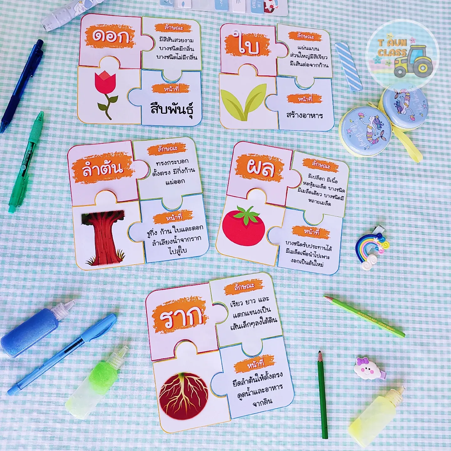 🌷จิ๊กซอว์ส่วนประกอบพืช | แกลเลอรีที่โพสต์โดย T Aun Class | Lemon8