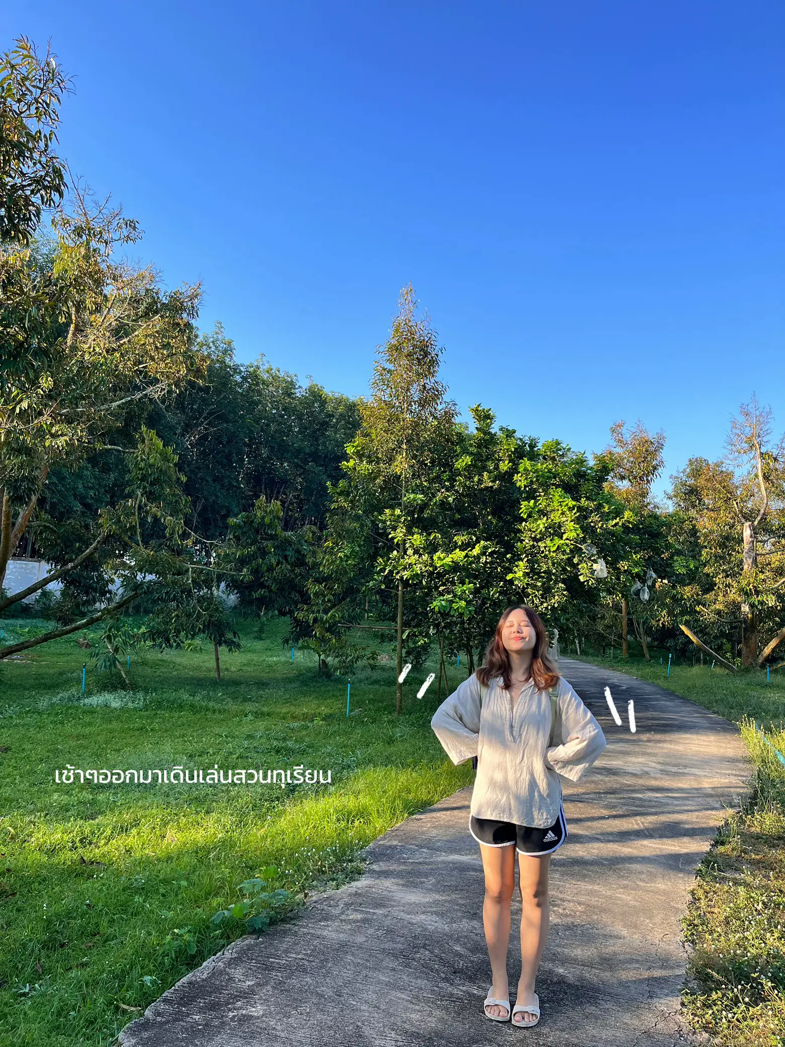 ที่พักธรรมชาติป่าละอู ประจวบ | แกลเลอรีที่โพสต์โดย aatomcus | Lemon8