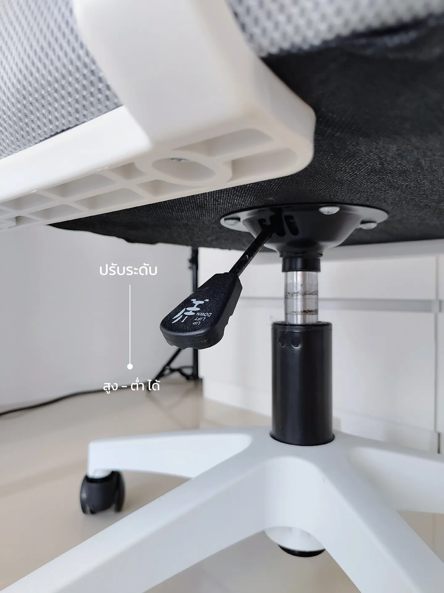 รีวิวเก้าอี้ทำงาน จากผู้ใช้จริงมาปีกว่า | แกลเลอรีที่โพสต์โดย LADY FANG ...