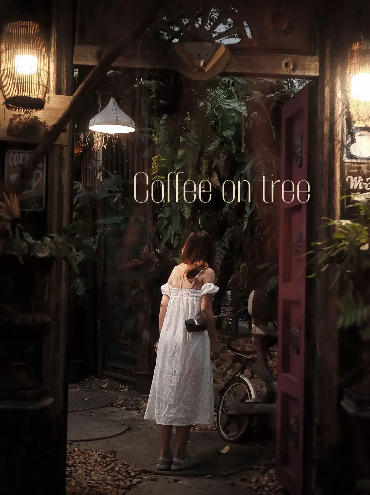 Coffee on tree | แกลเลอรีที่โพสต์โดย Bow Jumbo | Lemon8