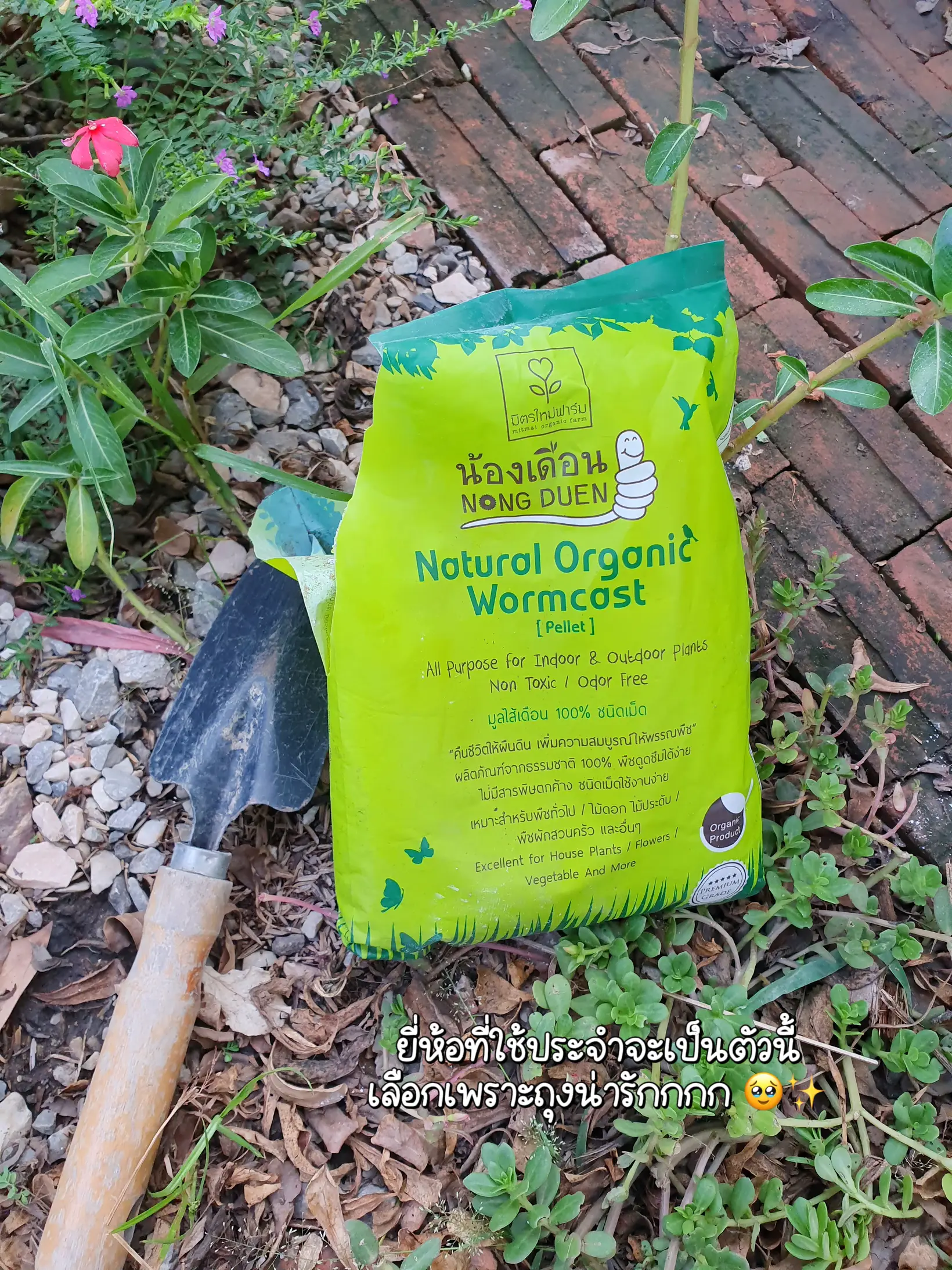 Good Soil from Nong Month 🍀 Vegetable Nourishing Earthworm Dung ...