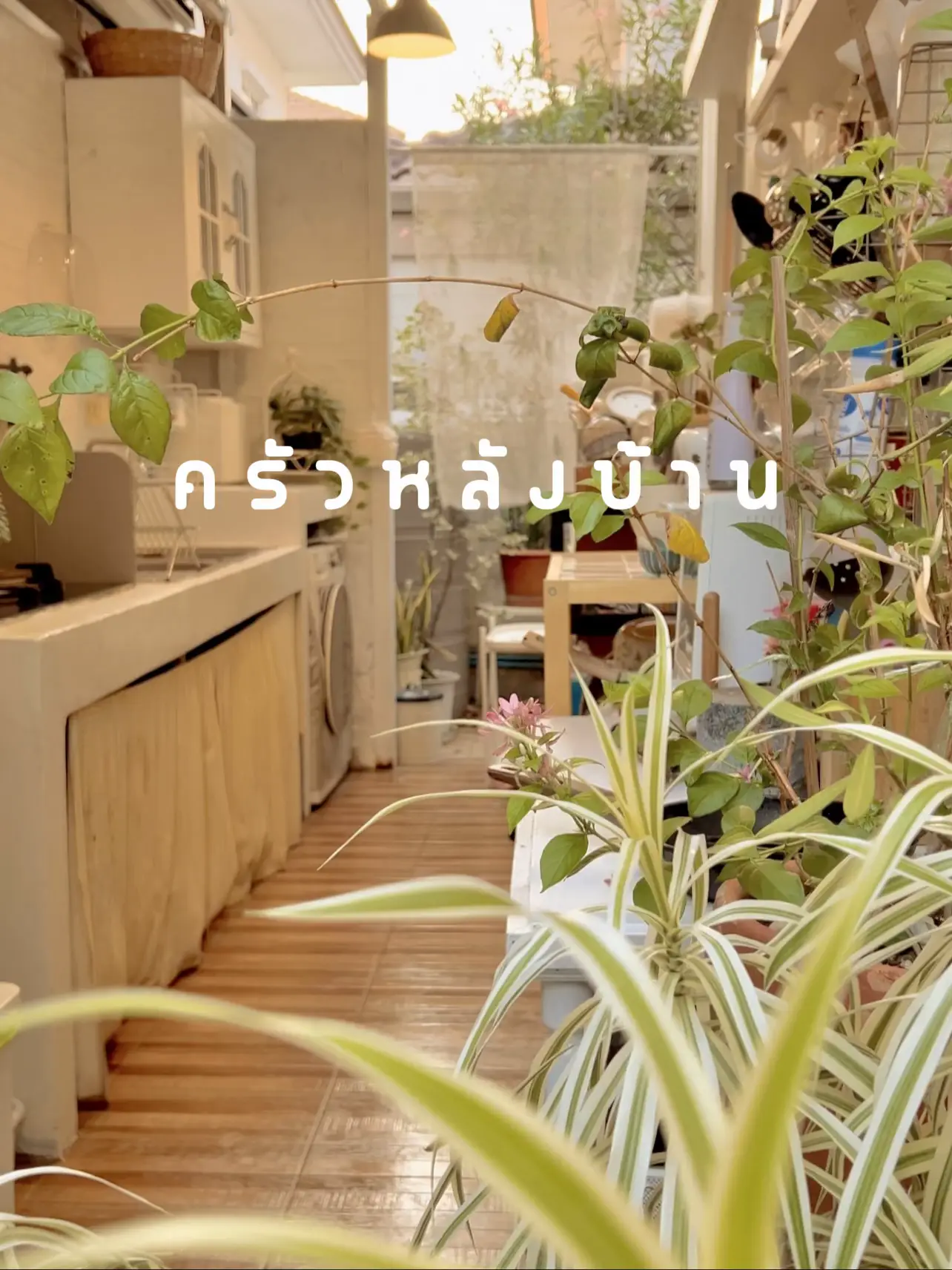 ค รั ว ห ลั ง บ้ า น 🍃🌸 | แกลเลอรีที่โพสต์โดย Salin Story🌸 | Lemon8