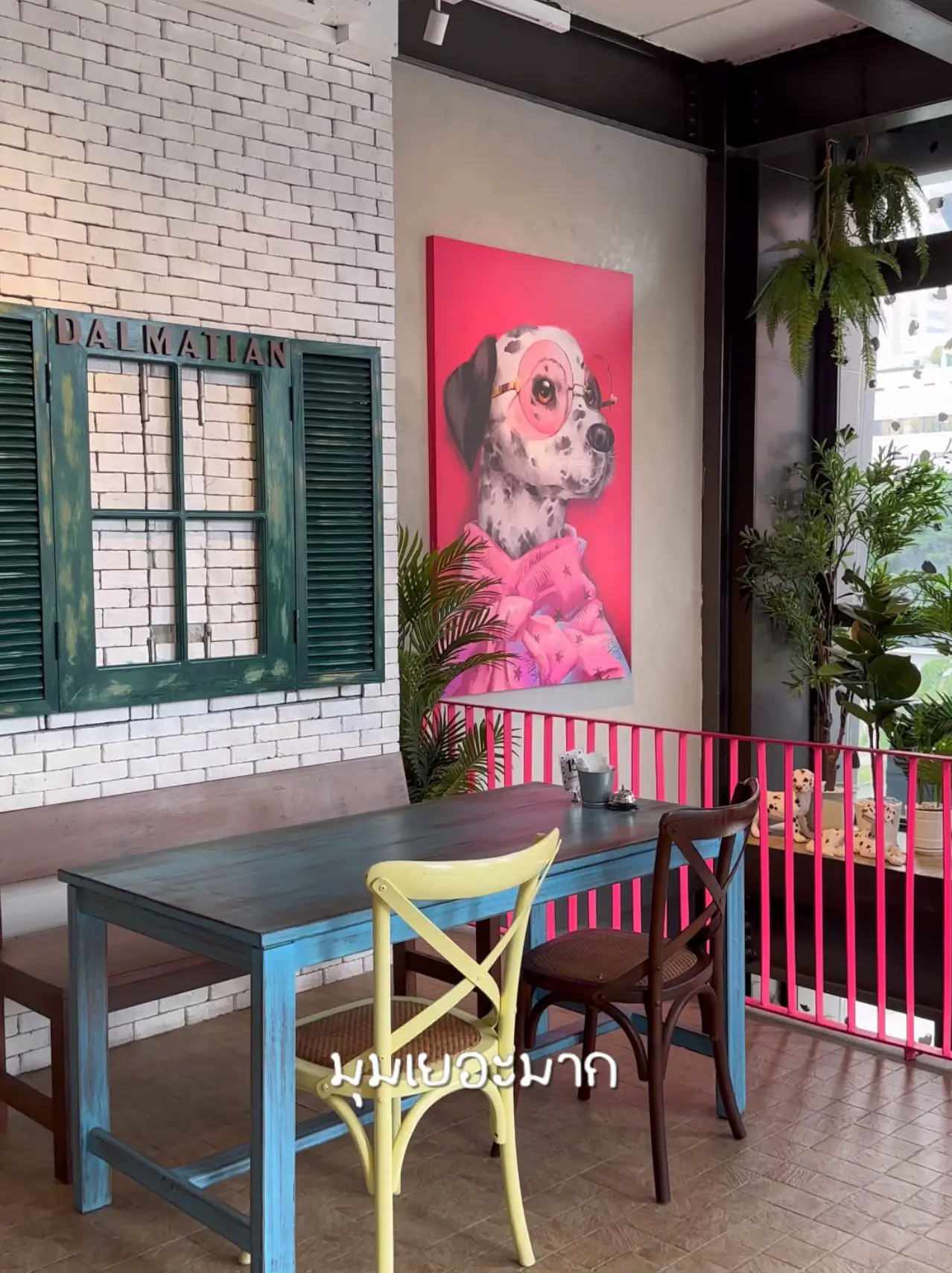 🇰🇷Dalmatian 달마시안 Siam Square Block I | แกลเลอรีที่โพสต์โดย ททท เที่ยว ...